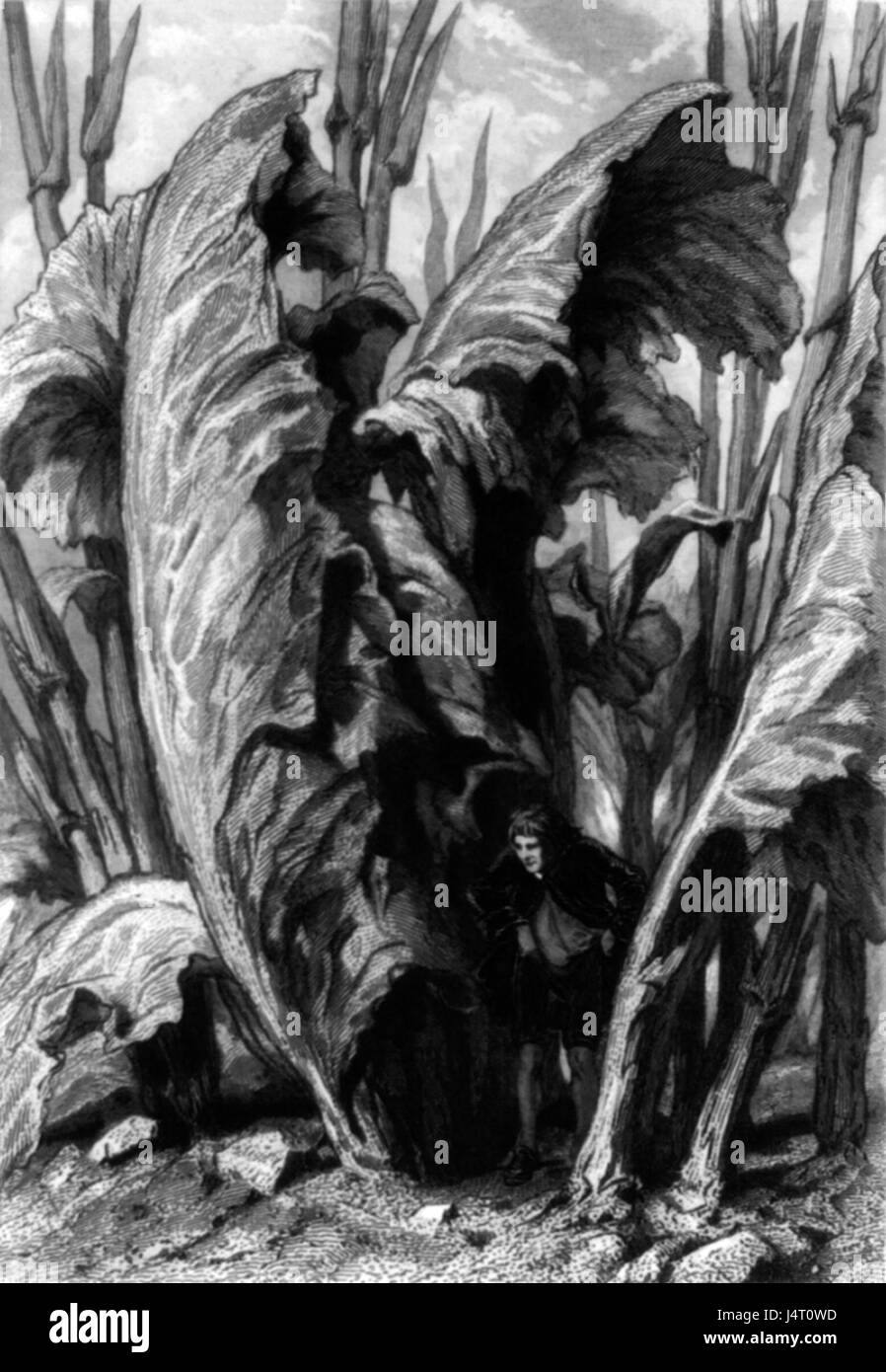 Unique collaboration Black and White Stock Photos & Images - Alamy