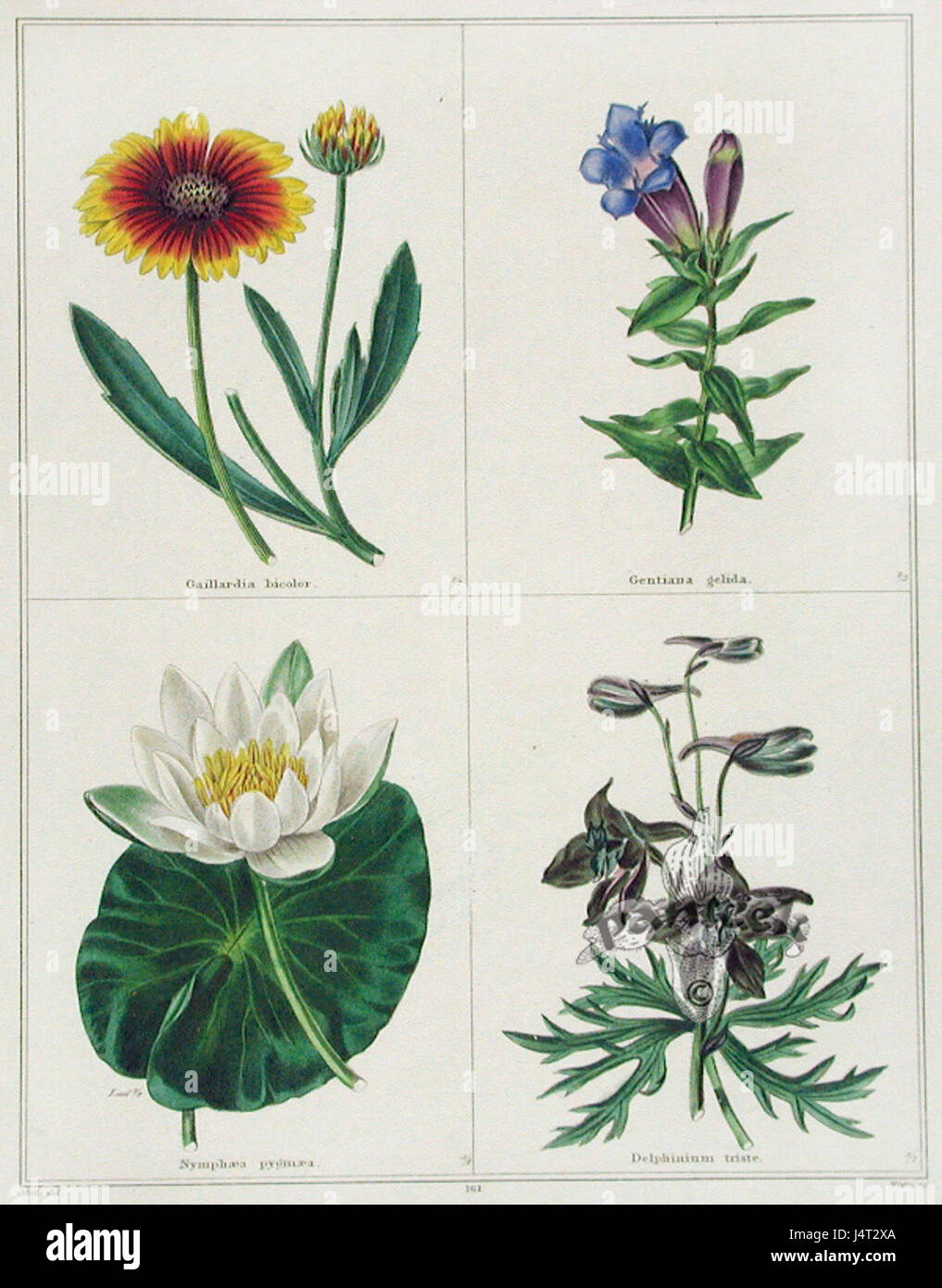 The Botanic Garden refers to a place dedicated to the study and display ...