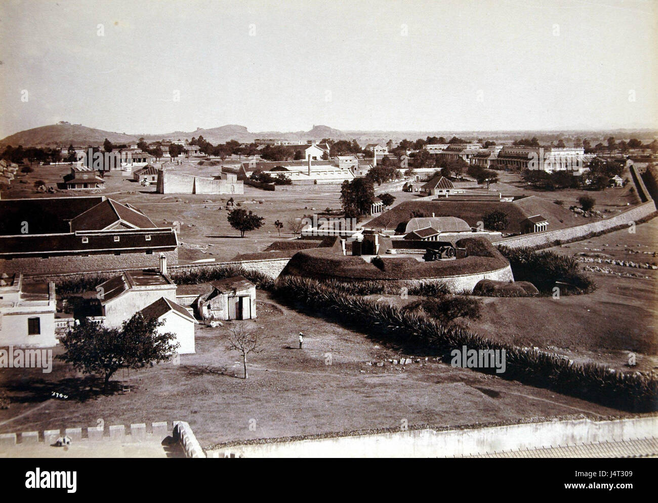 Trimulgherry hi-res stock photography and images - Alamy