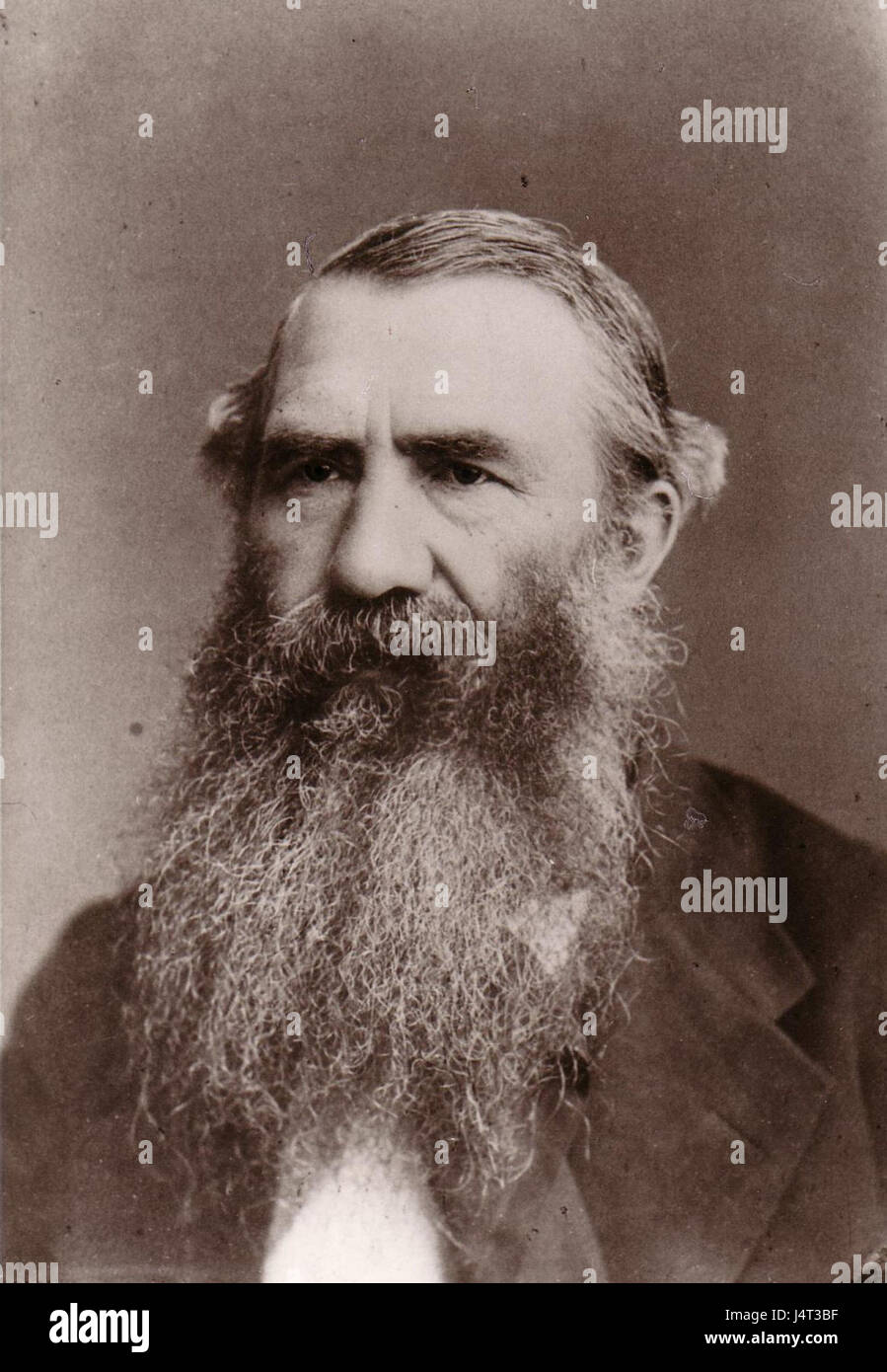 Tolki hi-res stock photography and images - Alamy