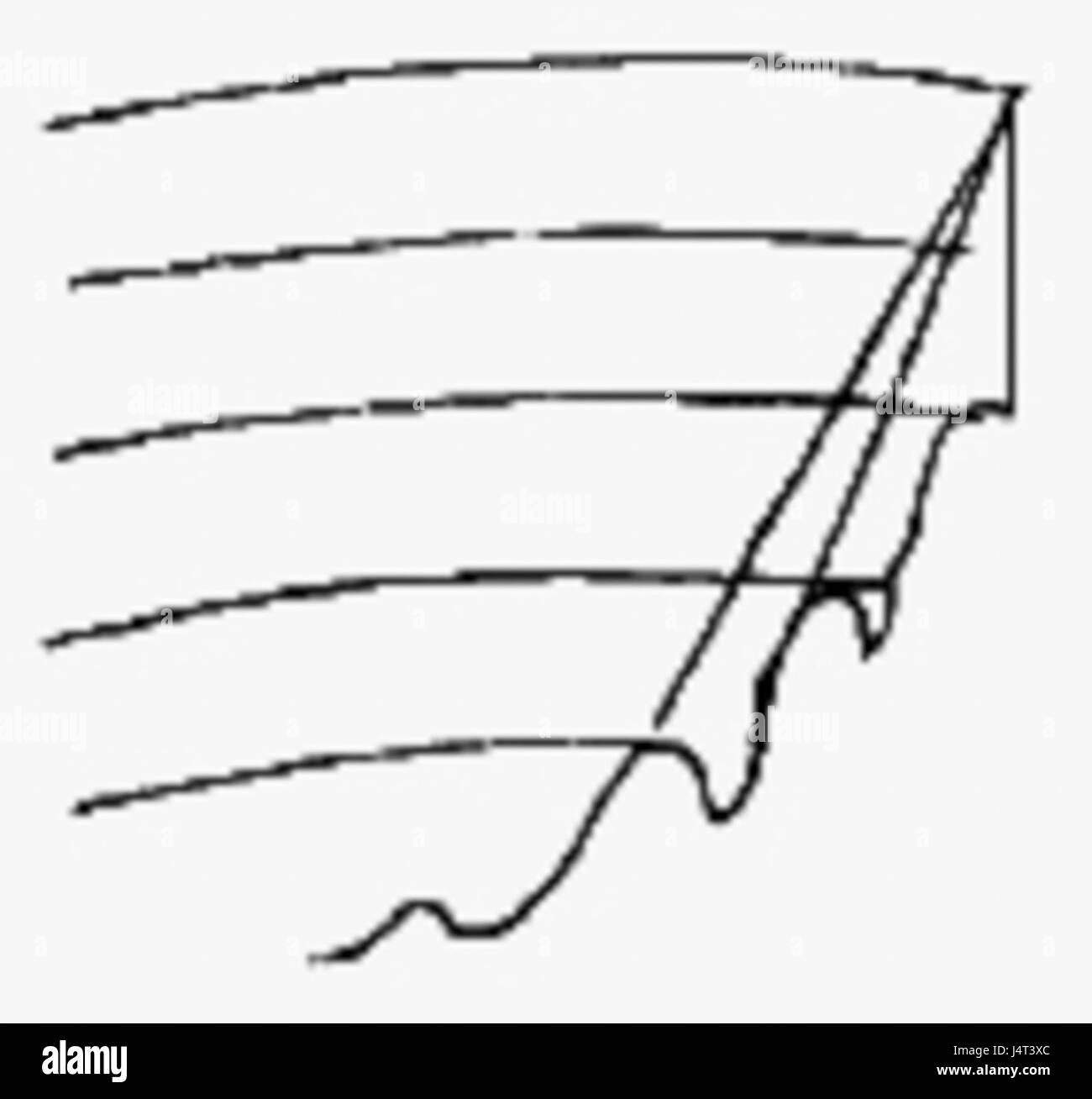 Italian art theory Cut Out Stock Images & Pictures - Alamy