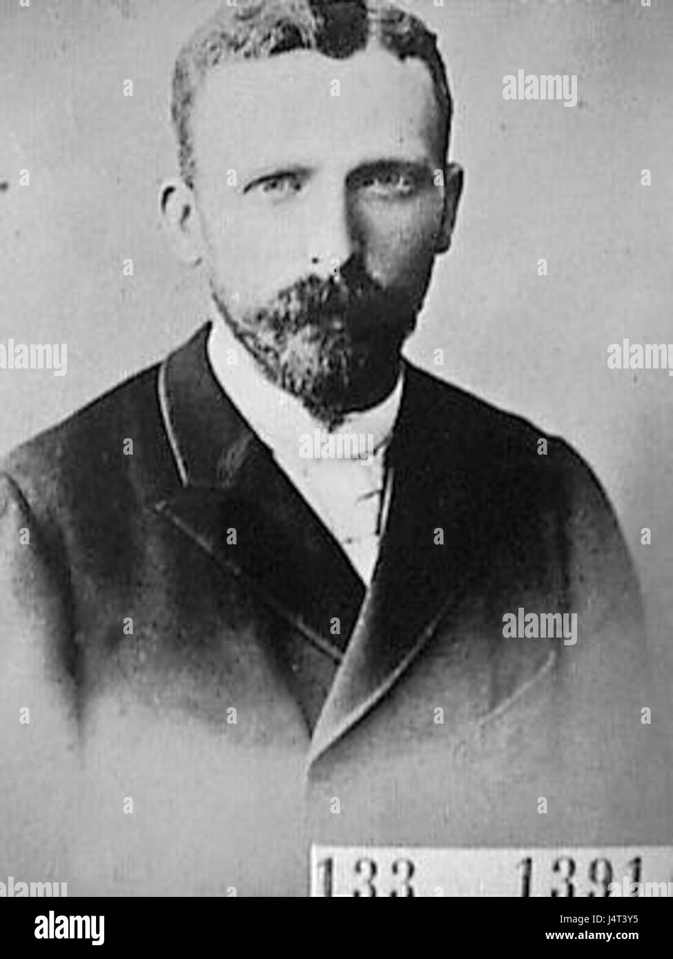 Theo van Gogh was a Dutch art dealer and brother of the famous painter ...