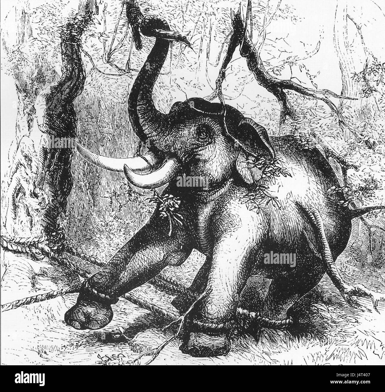 Urban expansion impact Black and White Stock Photos & Images - Alamy