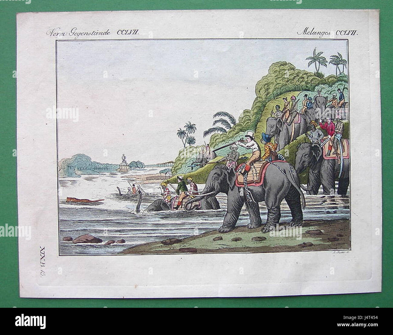 Peter paul rubens the tiger hunt hi-res stock photography and images ...