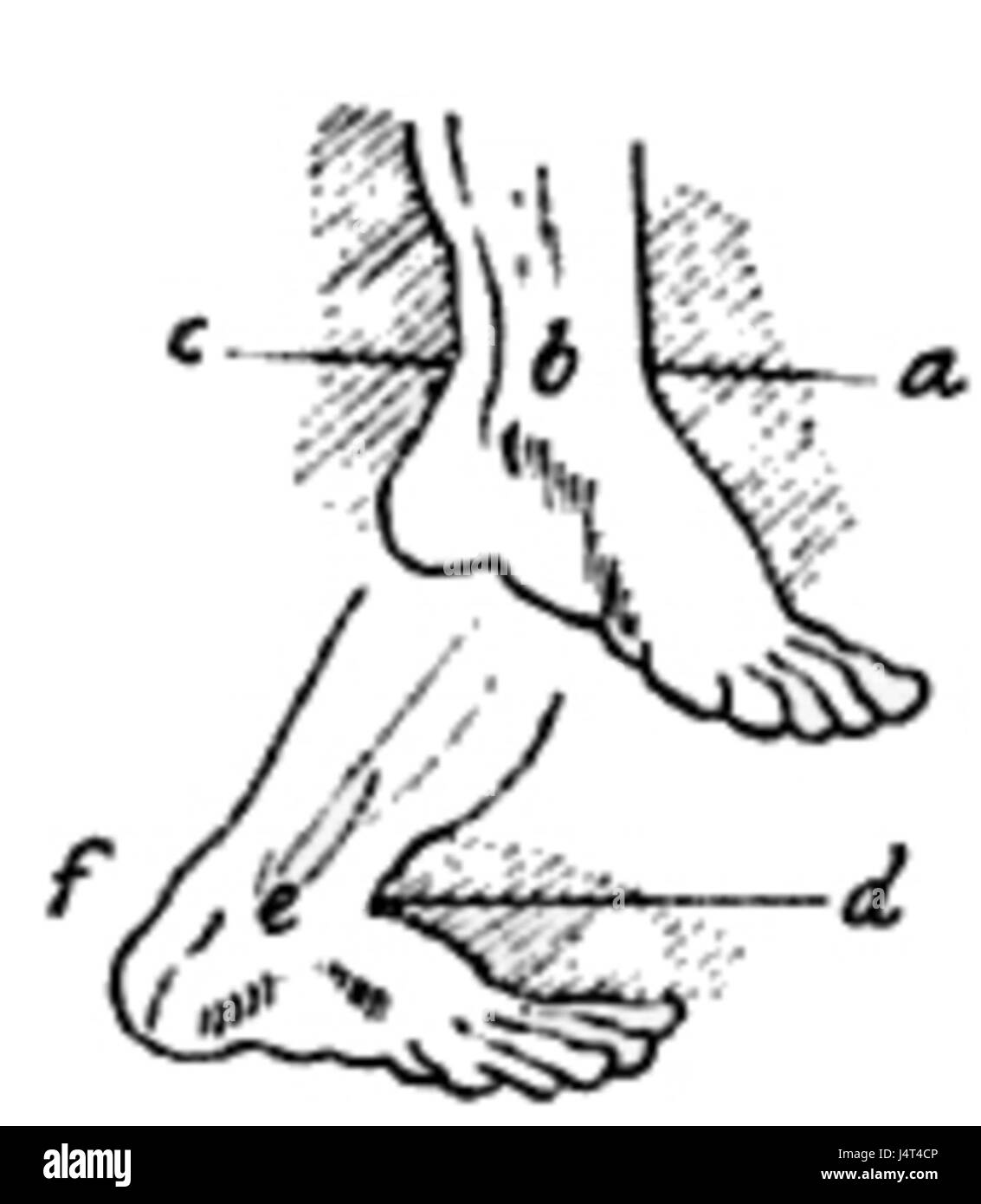 Renaissance artists at work Cut Out Stock Images & Pictures - Alamy