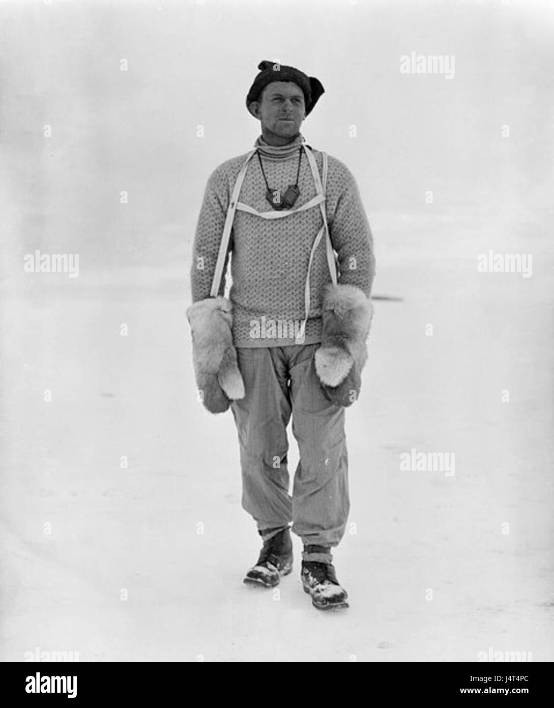 Tryggve gran hi-res stock photography and images - Alamy