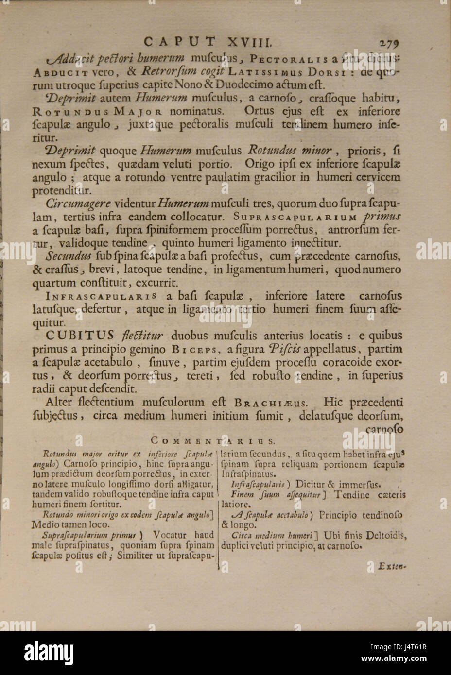'Vesling Syntagma Anatomicum' is a key text in the history of anatomy ...