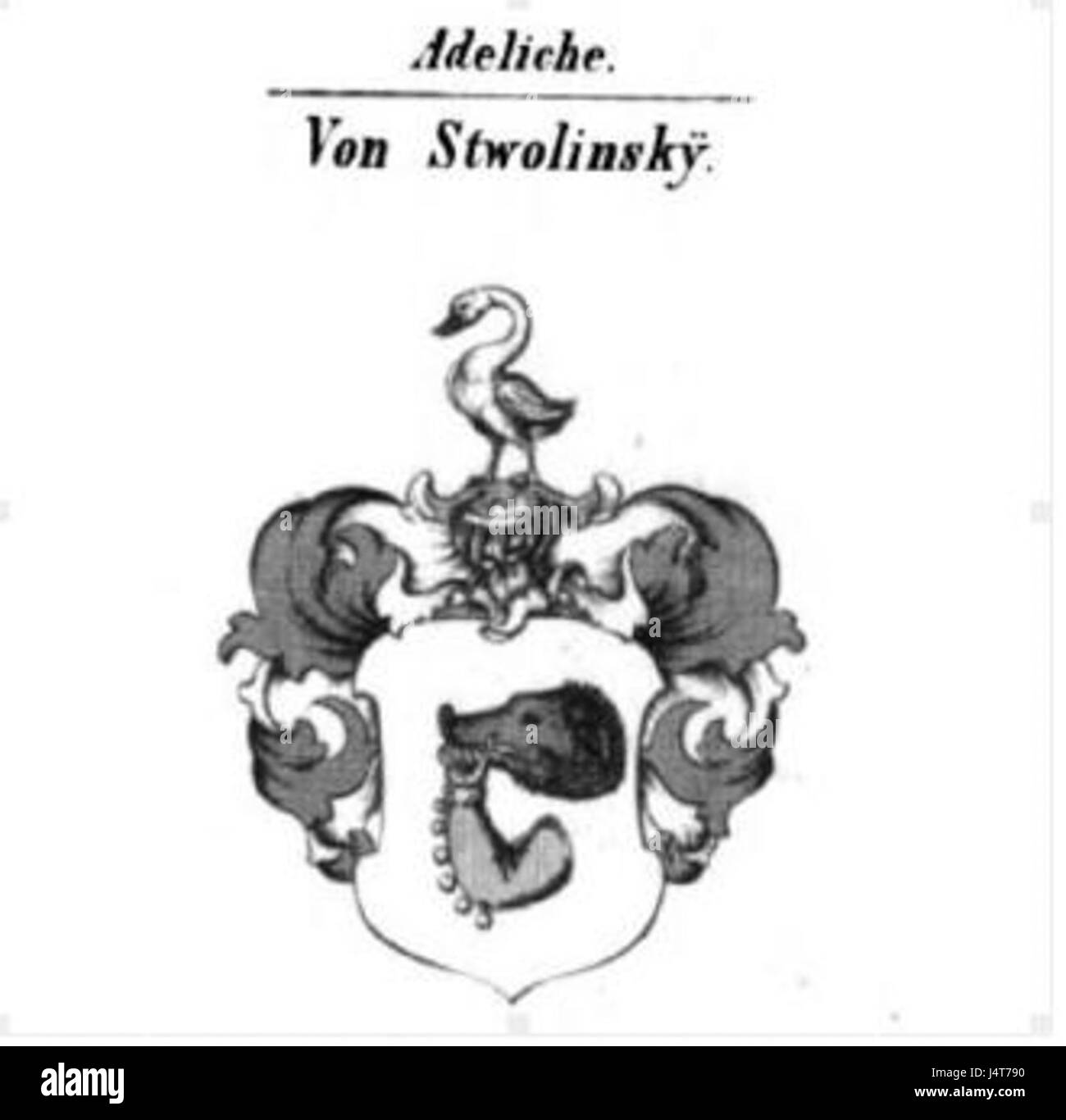 Coat of arms of the Stwolinsky family, featuring a silver shield with a ...