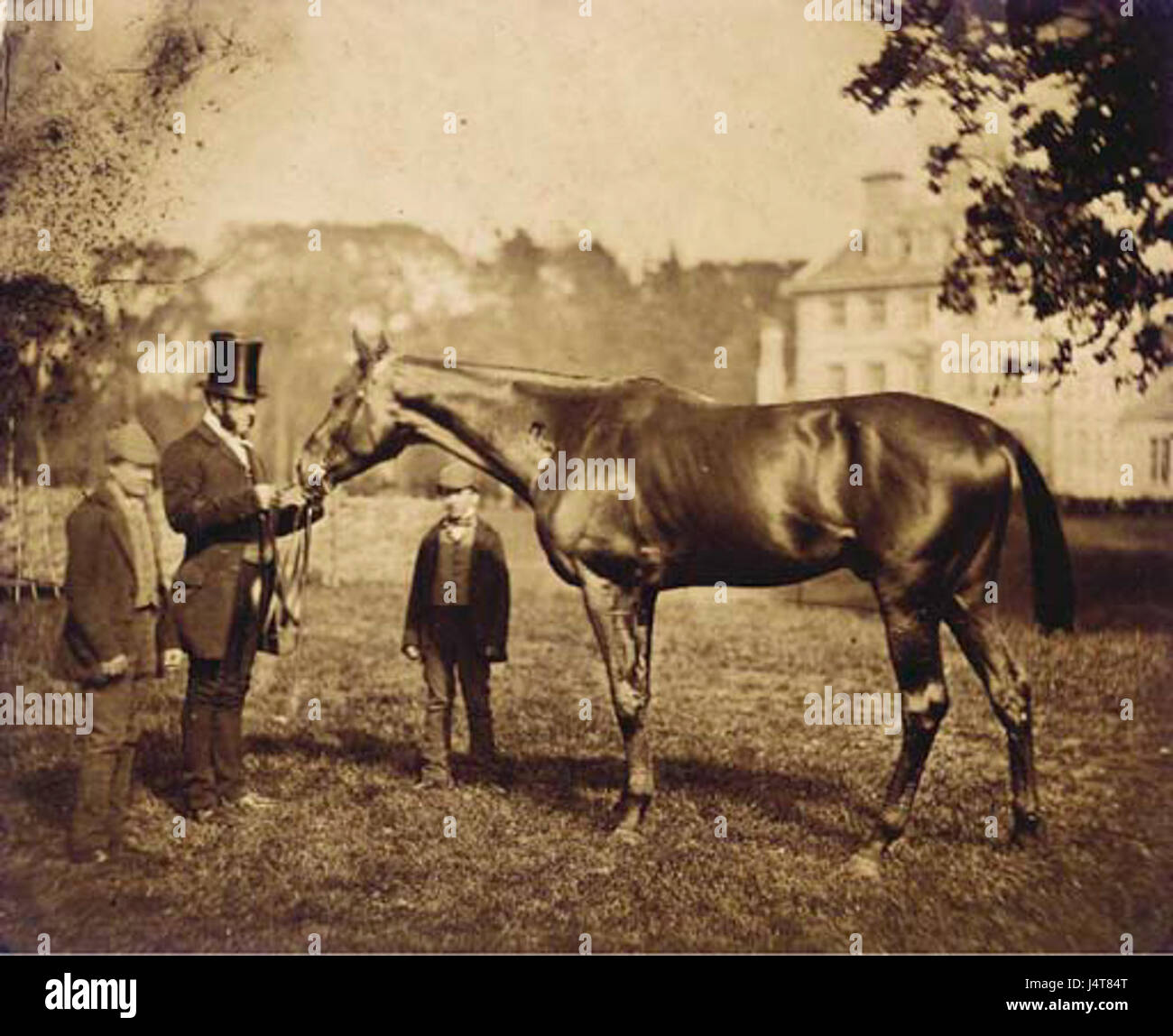 Wild Dayrell and Earl of Craven Stock Photo - Alamy