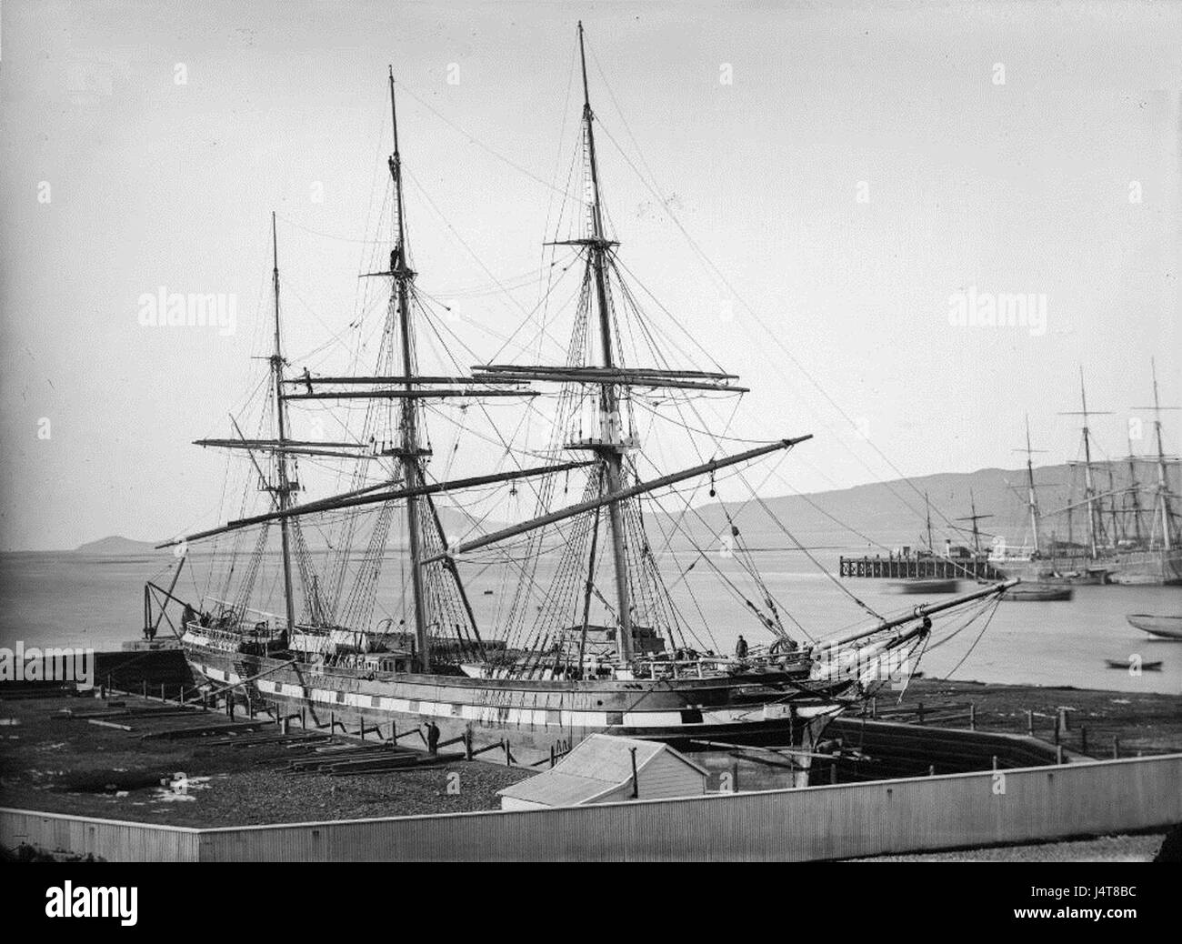 Wild Deer (ship, 1863) natlib.nz 236422 Stock Photo - Alamy