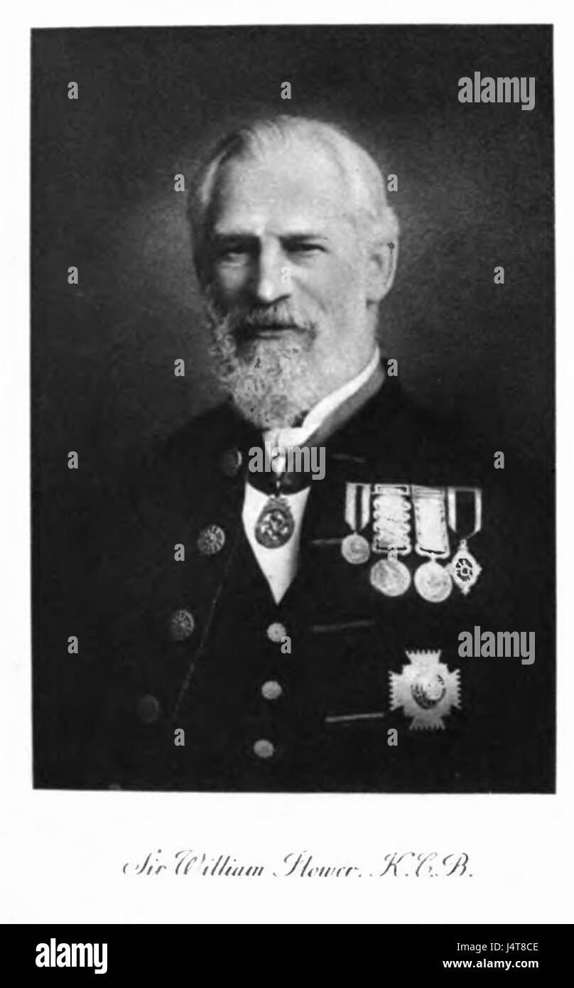 William flower Black and White Stock Photos & Images - Alamy