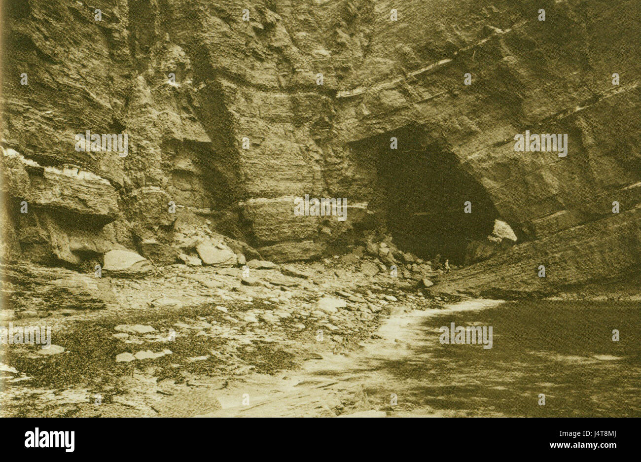 Manuscript identification hi-res stock photography and images - Alamy