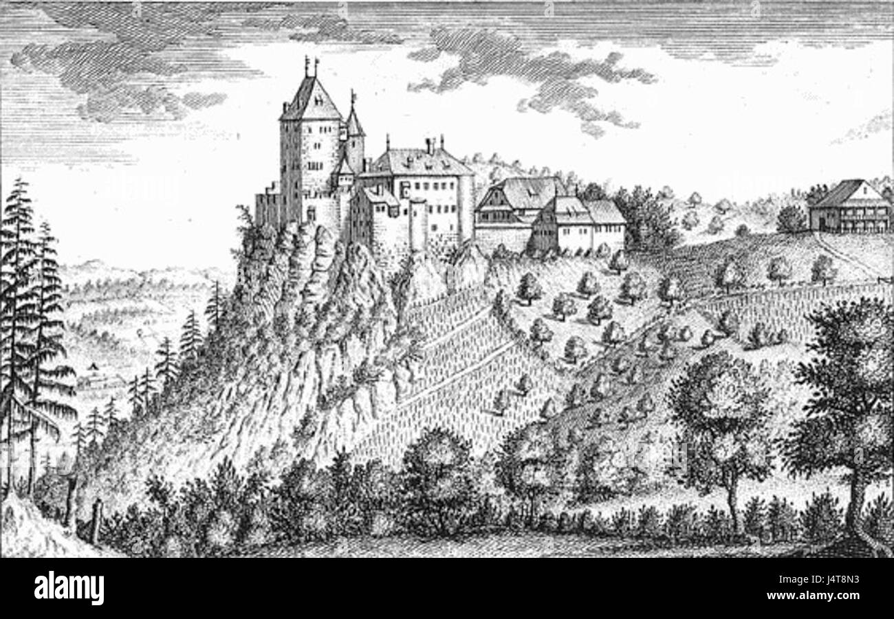 Wildenstein refers to a prominent family of art dealers known for their ...