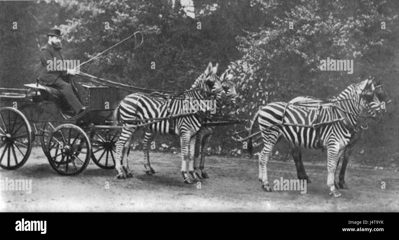 Lionel Walter Rothschild was a British politician, businessman, and ...