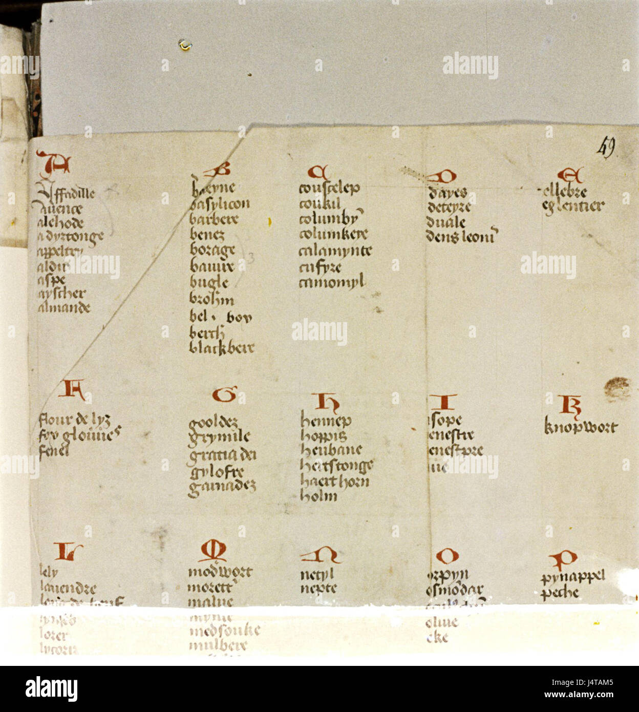 The Tudor pattern book MS. Ashmole 1504 93 is a manuscript from the ...