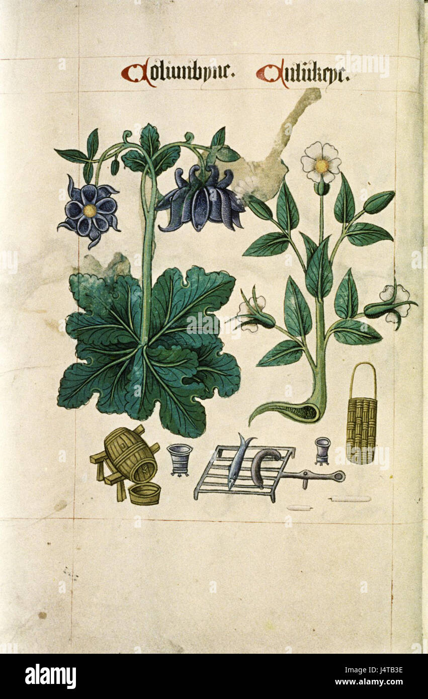 Ashmole manuscript hi-res stock photography and images - Alamy