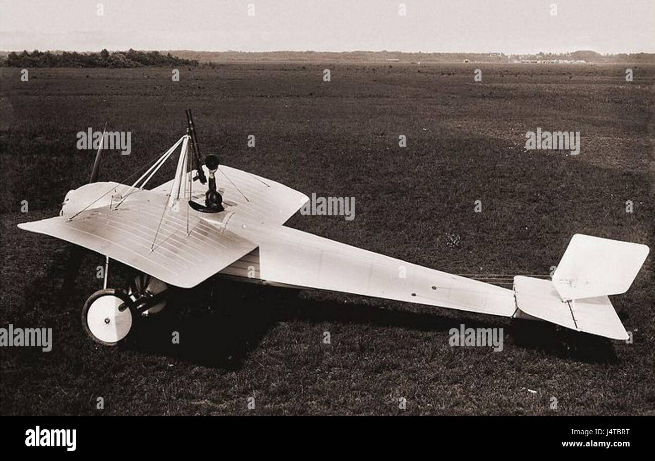The Caproni Ca.20 was a monoplane developed by the Italian aviation ...