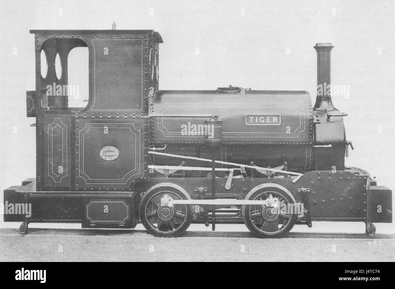 Photo of tiger Black and White Stock Photos & Images - Alamy