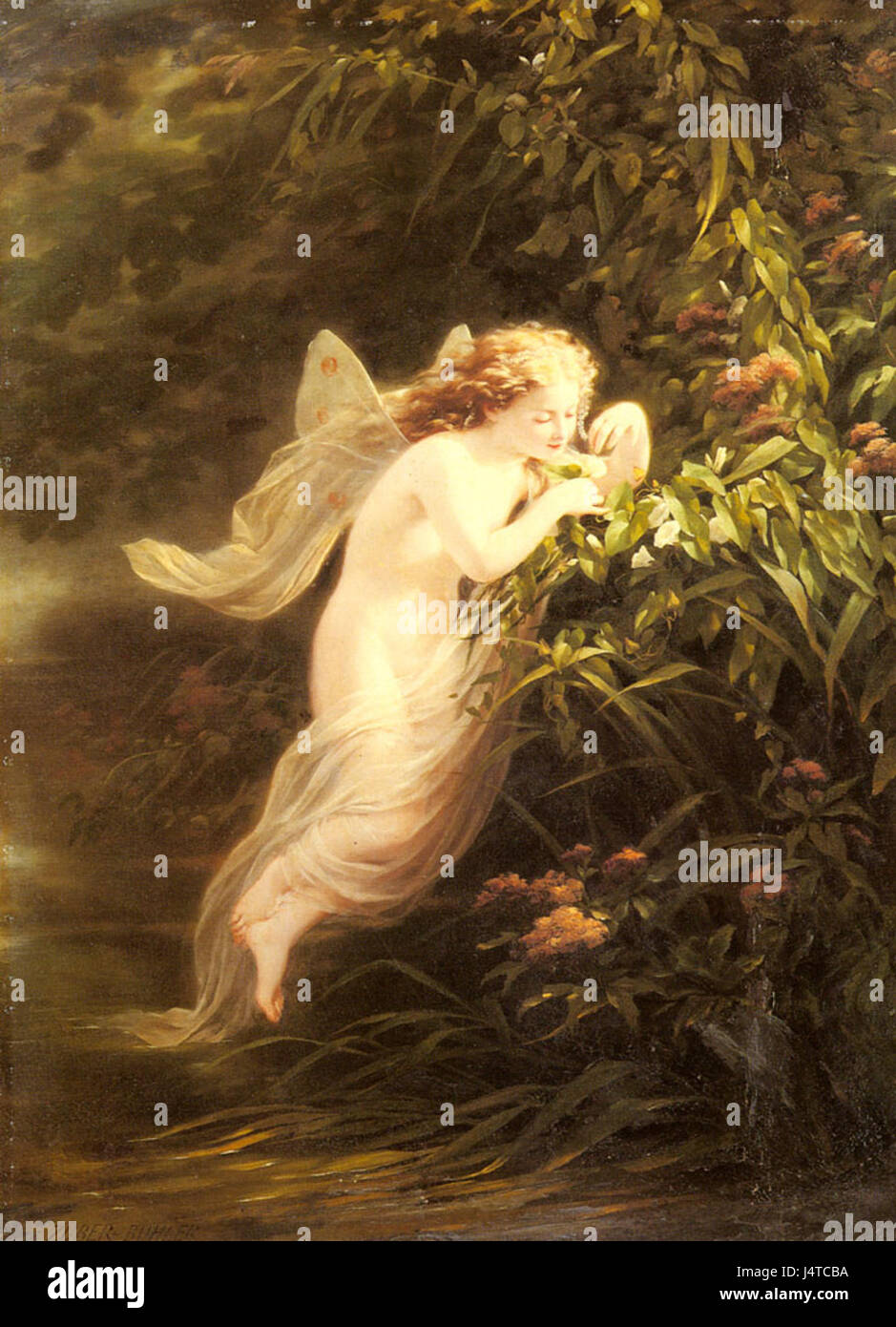 Fritz zuber buhler hi-res stock photography and images - Alamy