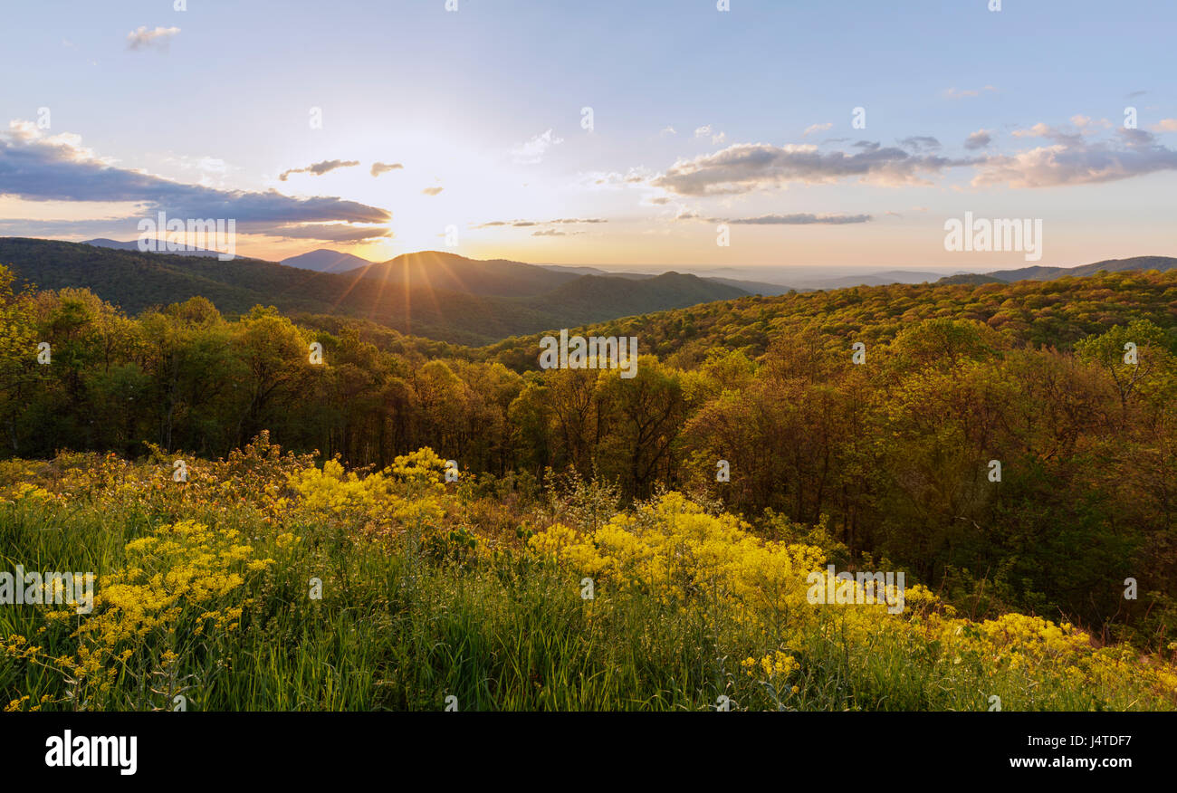 Sunrise over the Blue Ridge Mountains from Thornton Hollow Overlook in ...