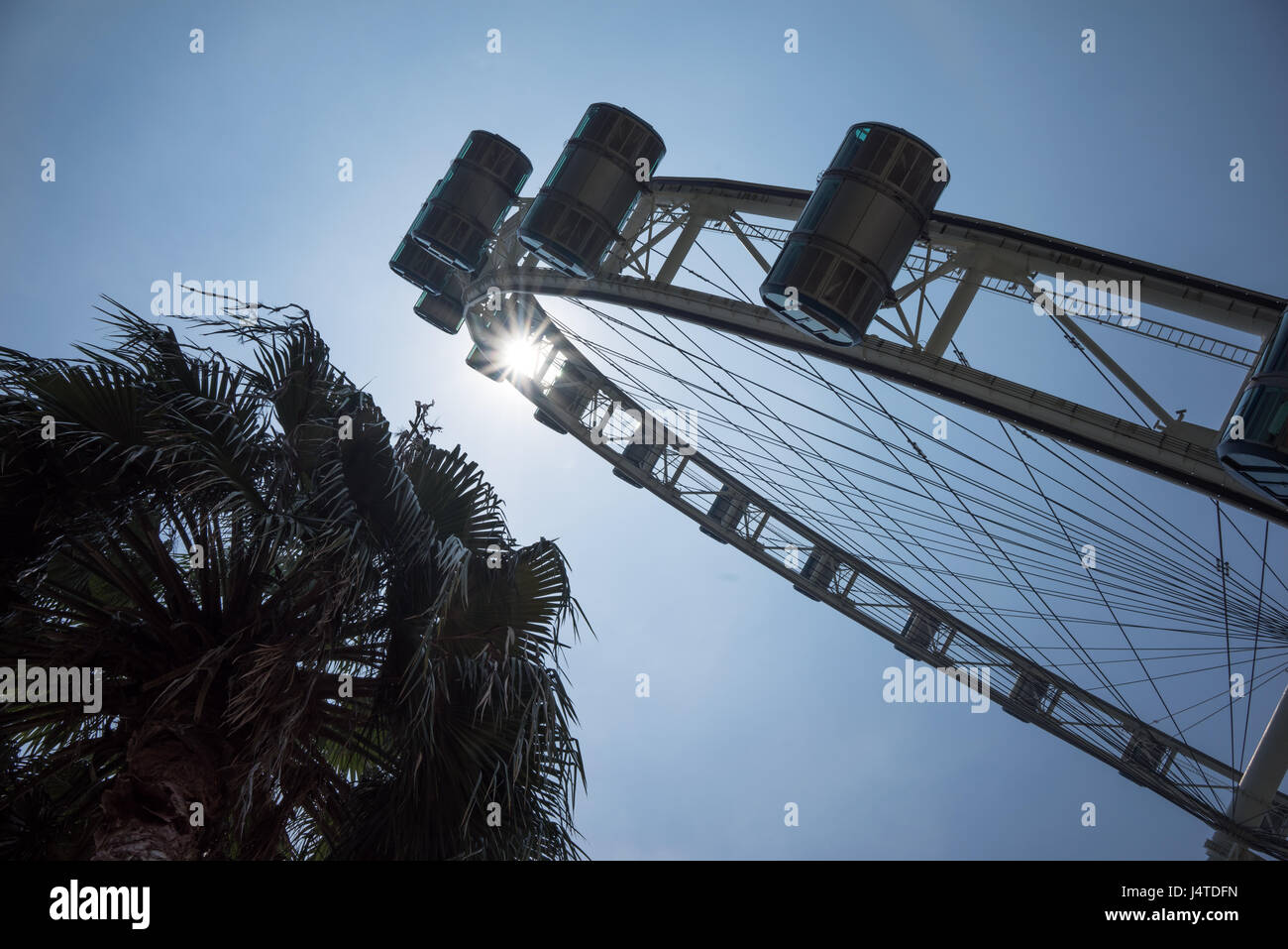 A giant Ferris wheel in Singapore. Described by its operators as an ...