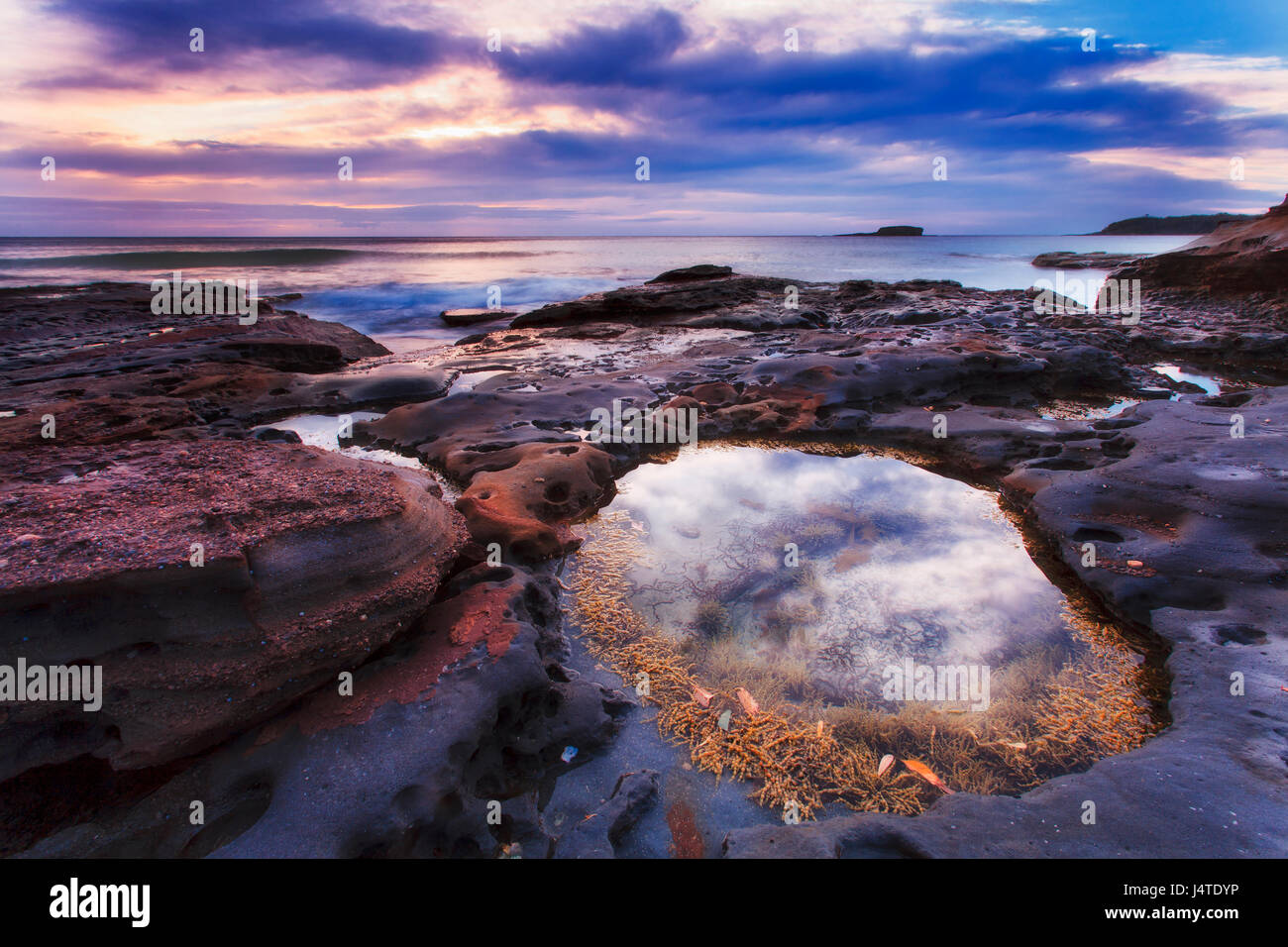 Water Seaweed Rocks High Resolution Stock Photography and Images - Alamy