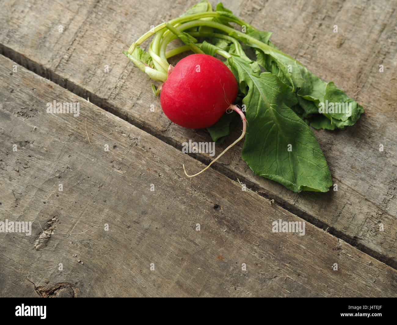 Organic radish on a rustic wooden table with space for text Stock Photo ...