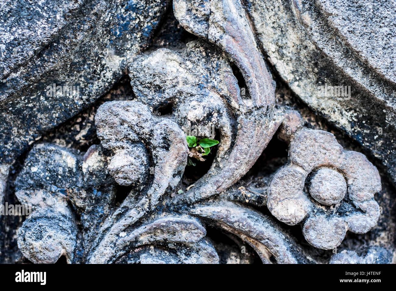 vintage stone curve design as background & texture Stock Photo - Alamy