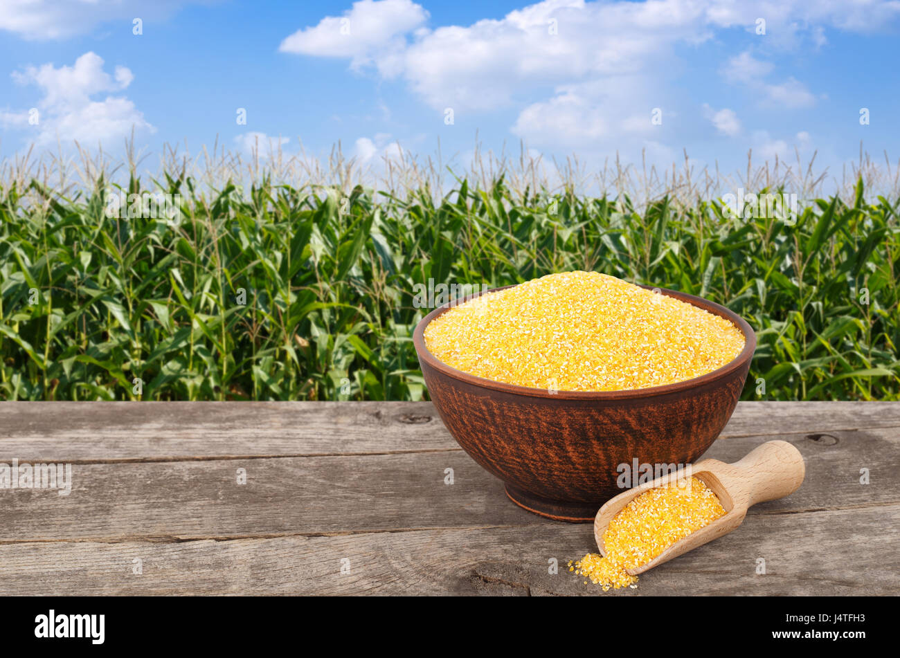 uncooked cornmeal porridge in bowl with scoop on wooden table with ...