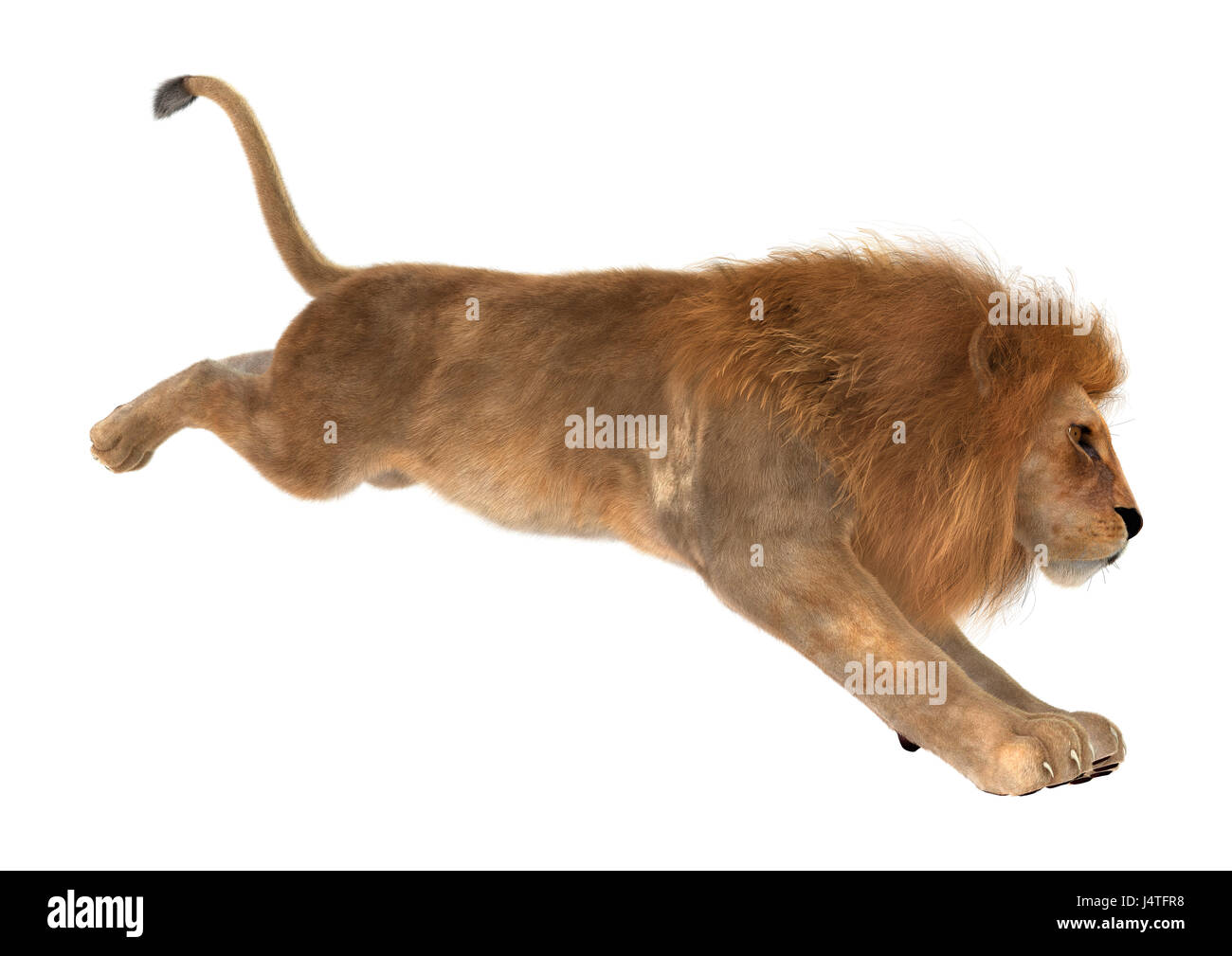 3D rendering of a male lion jumping isolated on white background Stock ...