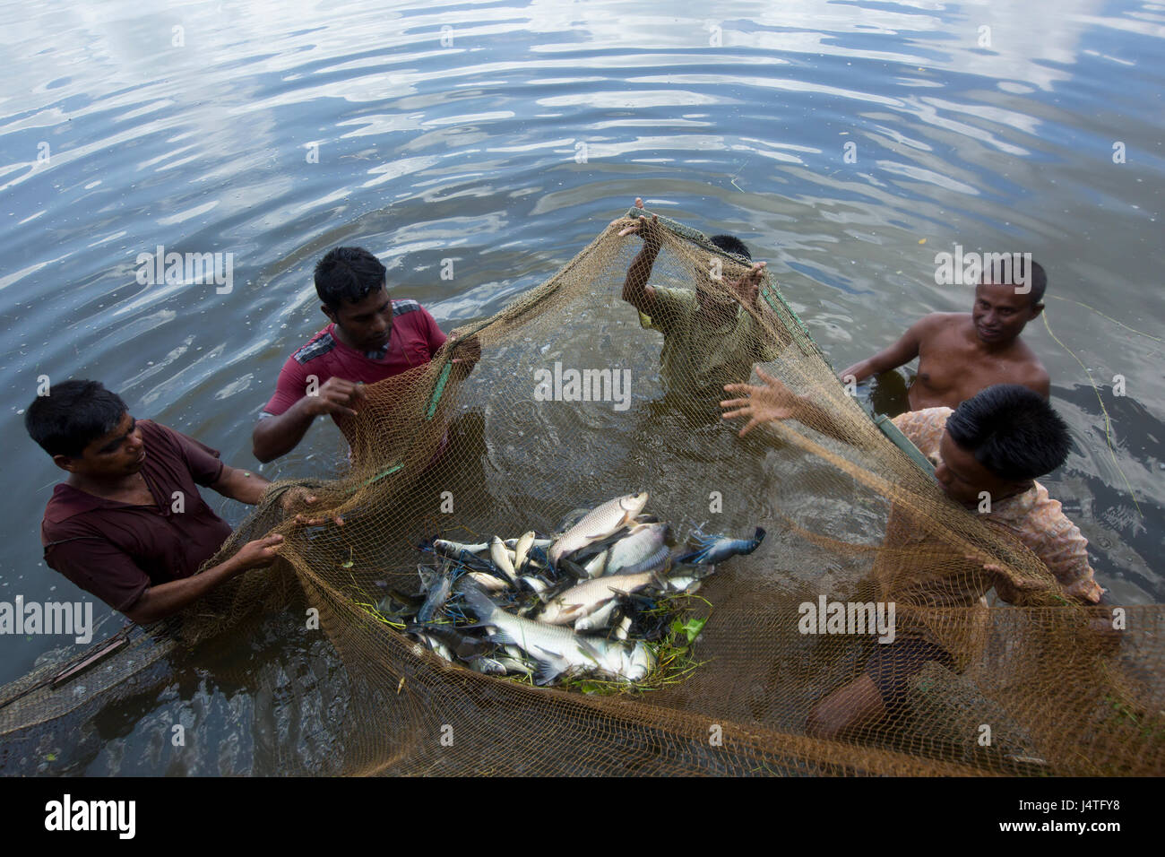 Fish farm bangladesh hi-res stock photography and images - Alamy