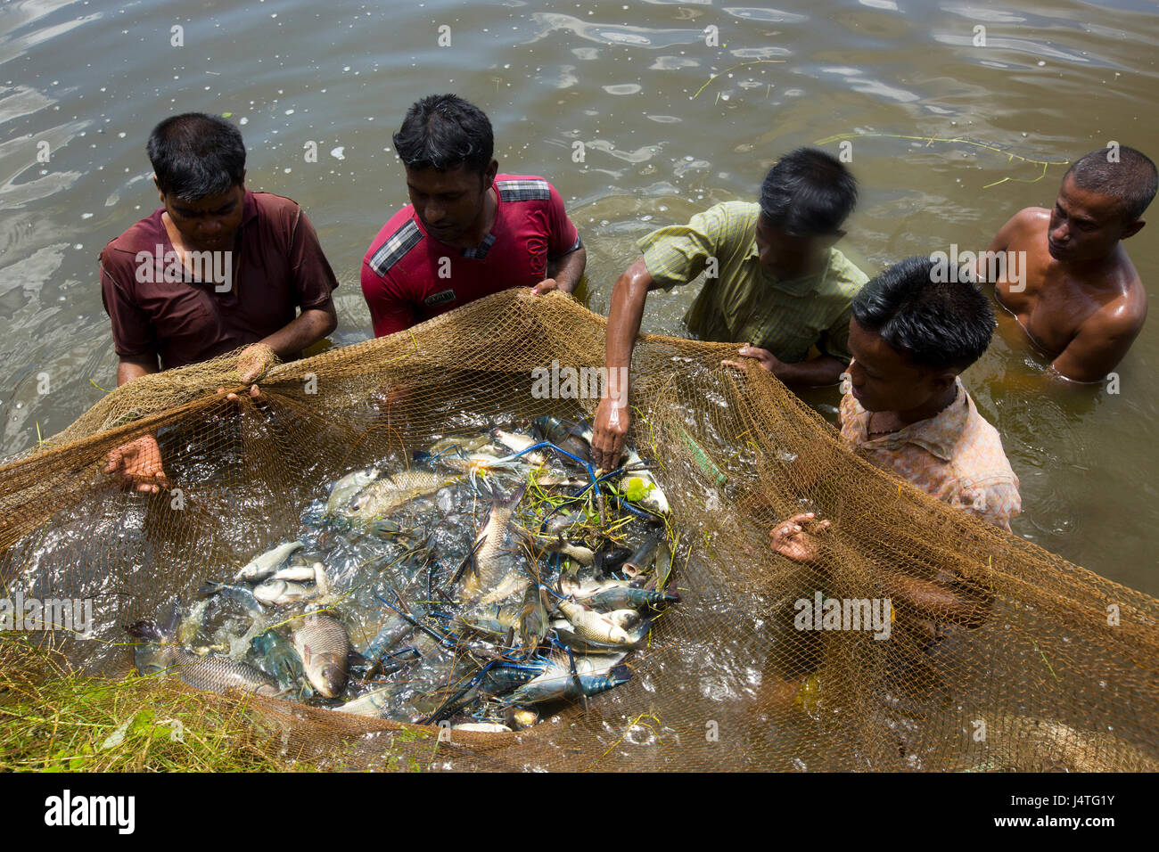 Fish farm holding nets hi-res stock photography and images - Alamy