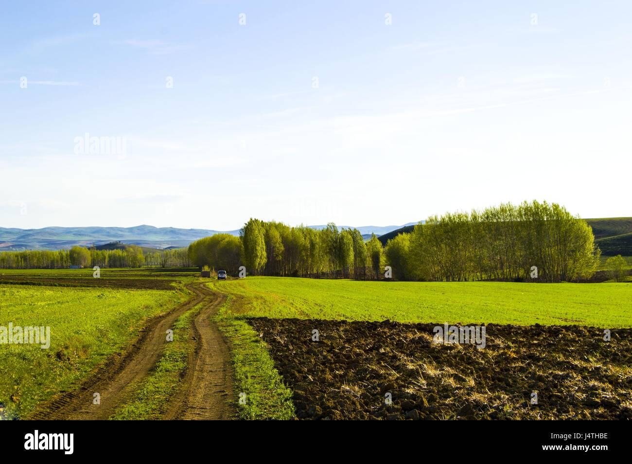 Terrestrial climates the arrival of spring, the enchantment of nature ...