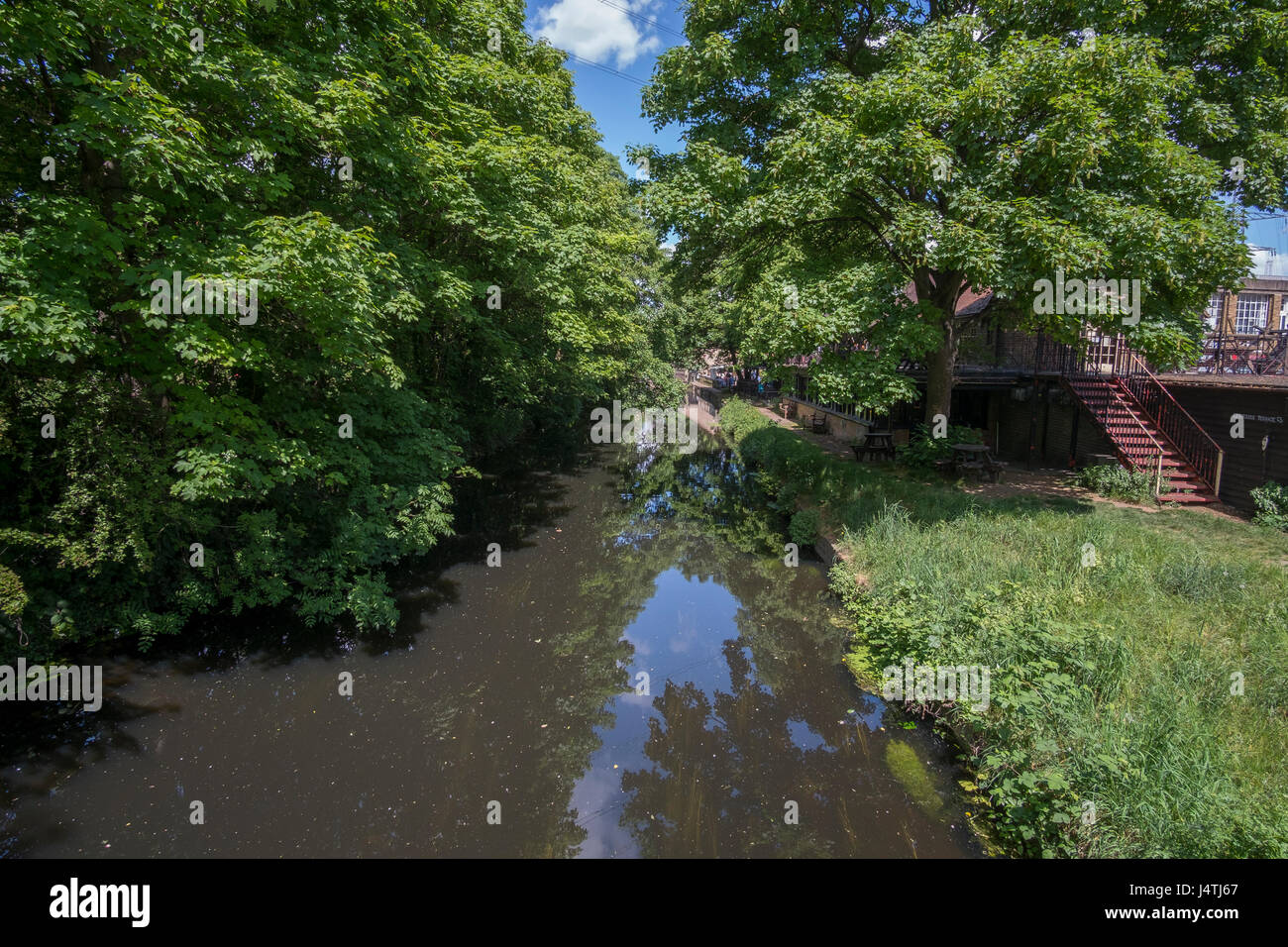 The River Wandle, a clean water river seen from the Wandle Trail near ...