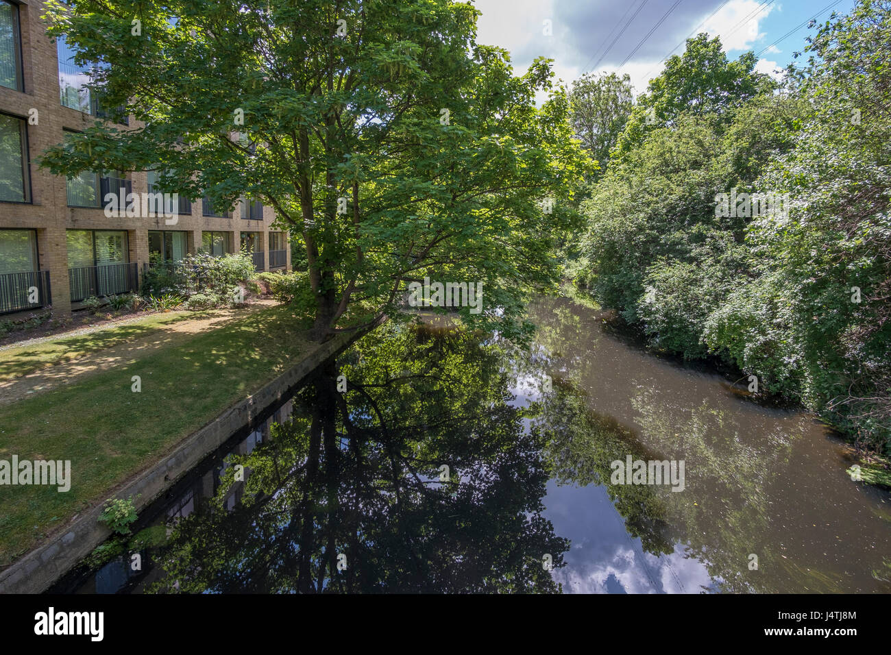 The River Wandle, a clean water river seen from the Wandle Trail near ...