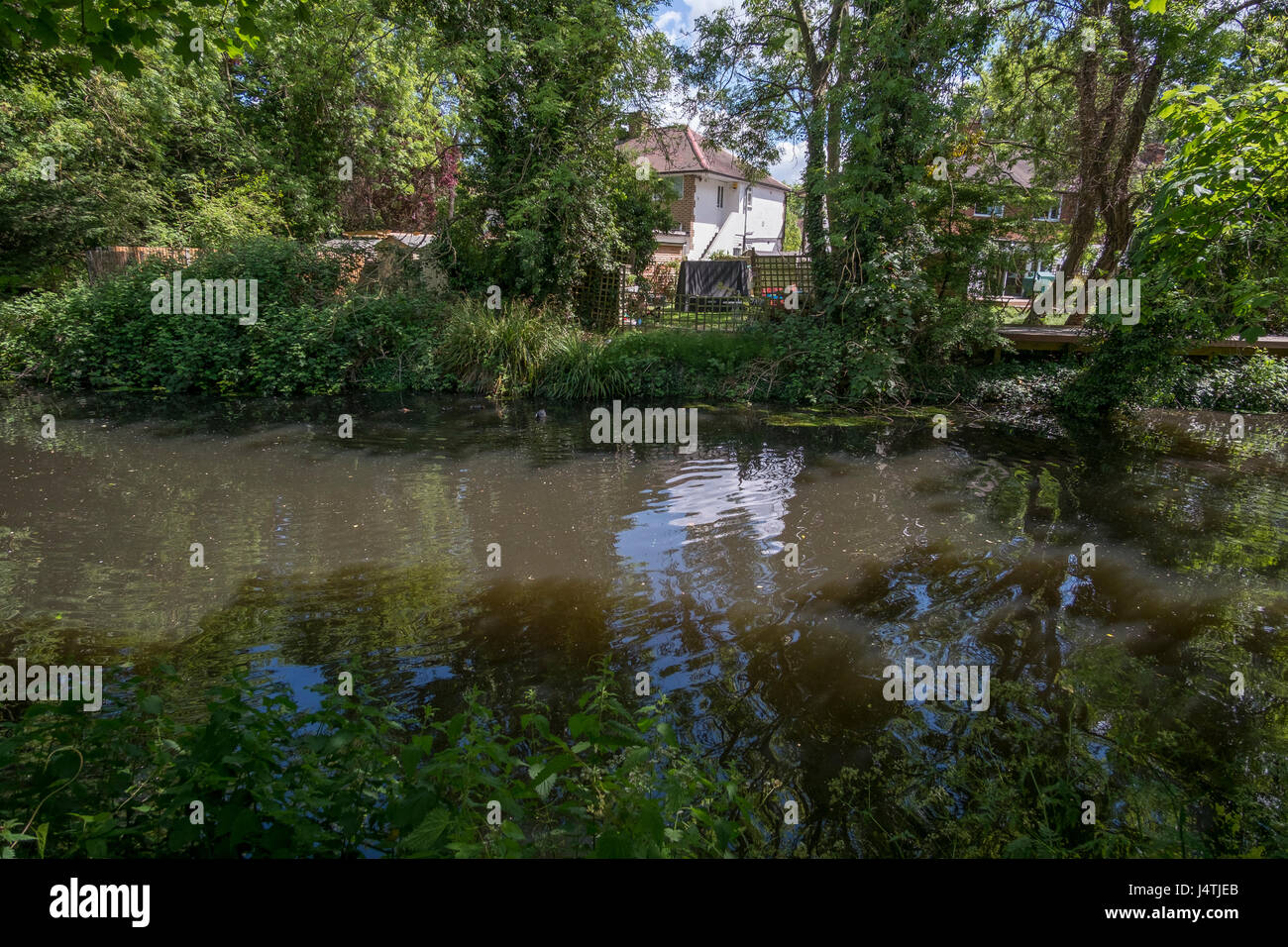 The River Wandle, a clean water river seen from the Wandle Trail near ...