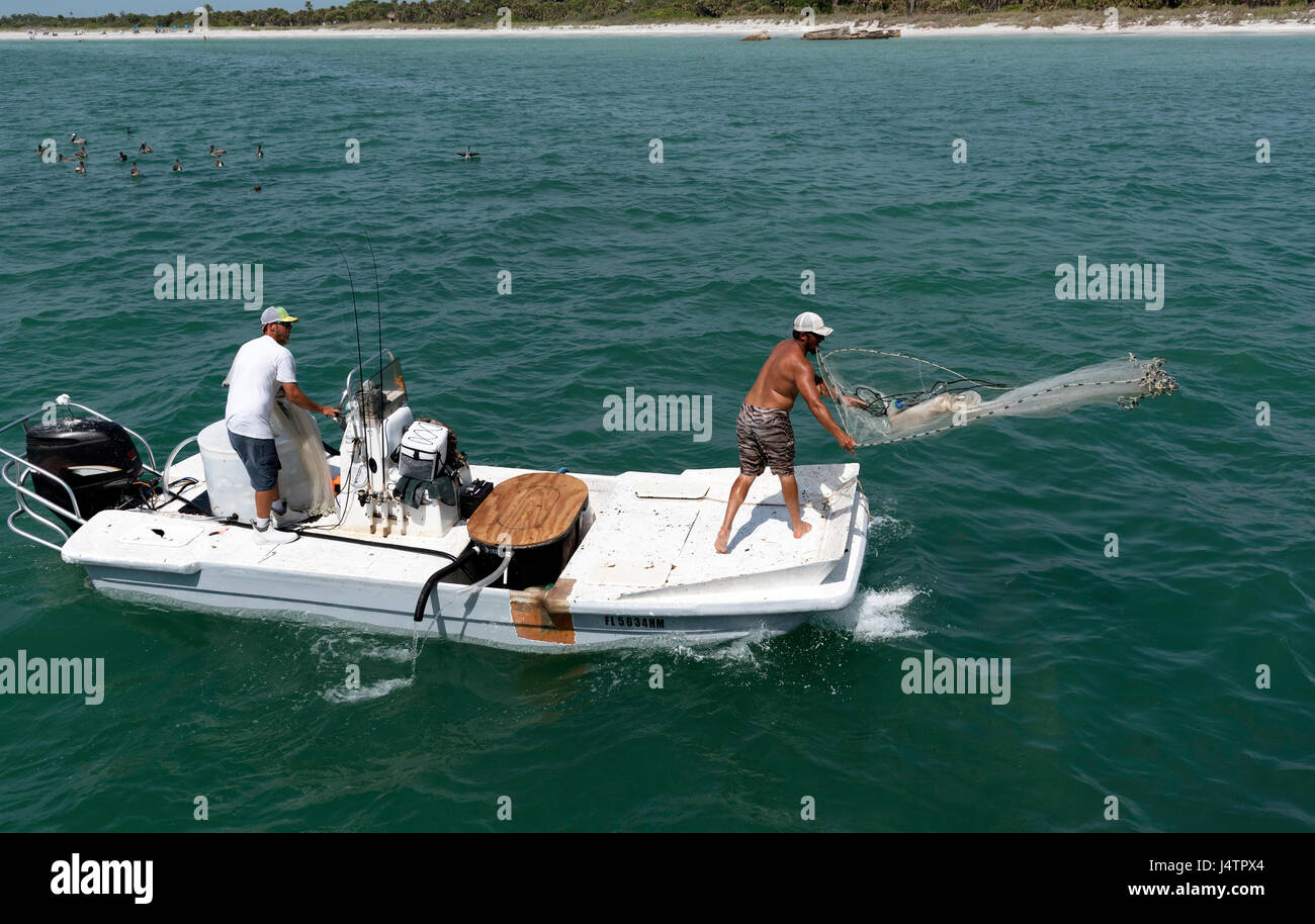 Fishing for bait. Man using a cast net from a small boat on the Gulf of ...