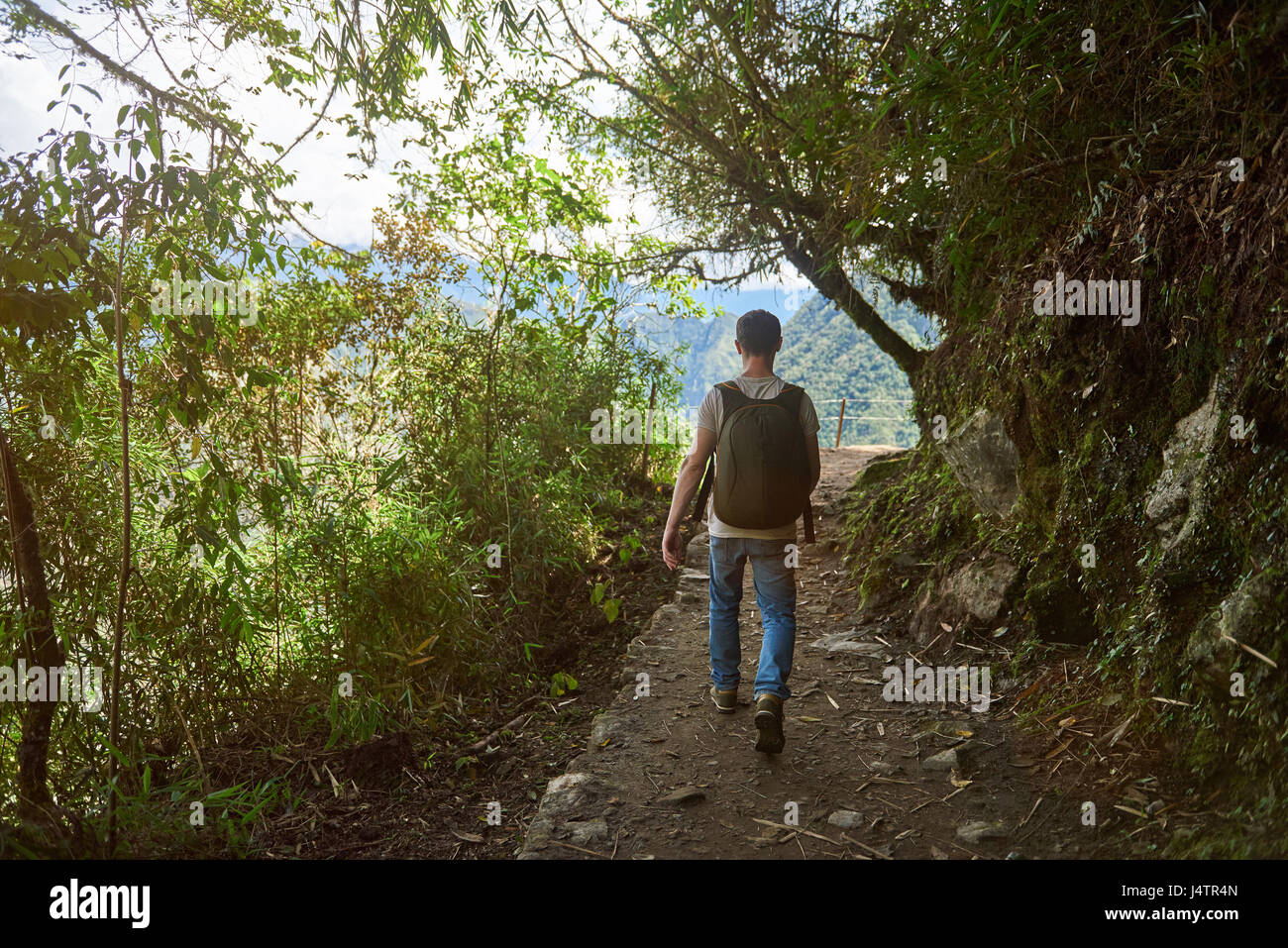 Back view of man walking in trail. Man with backpack doing hike Stock ...