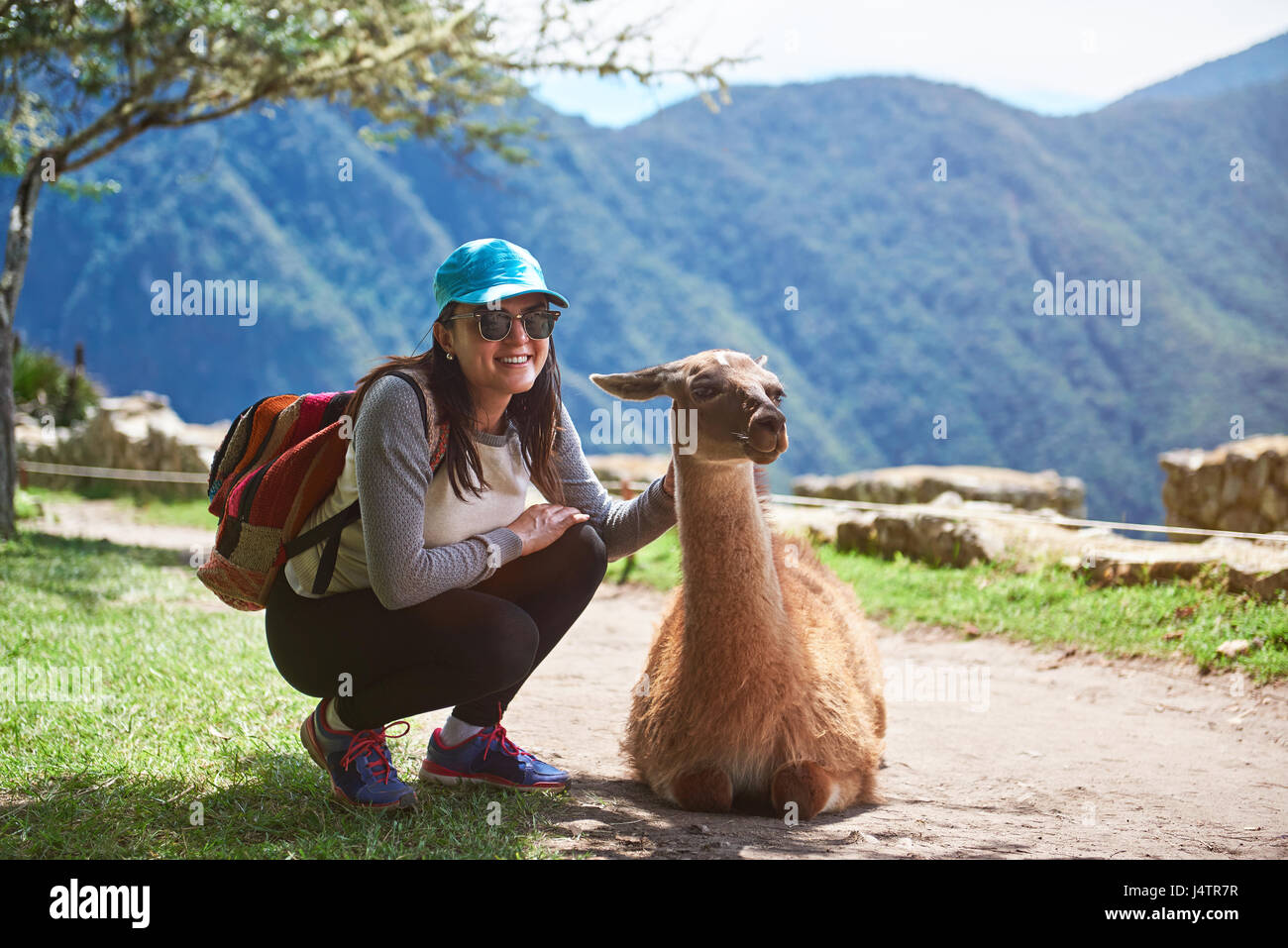 Woman meet lama in Machu Picchu hiking trail. Smiling girl with alpaca ...