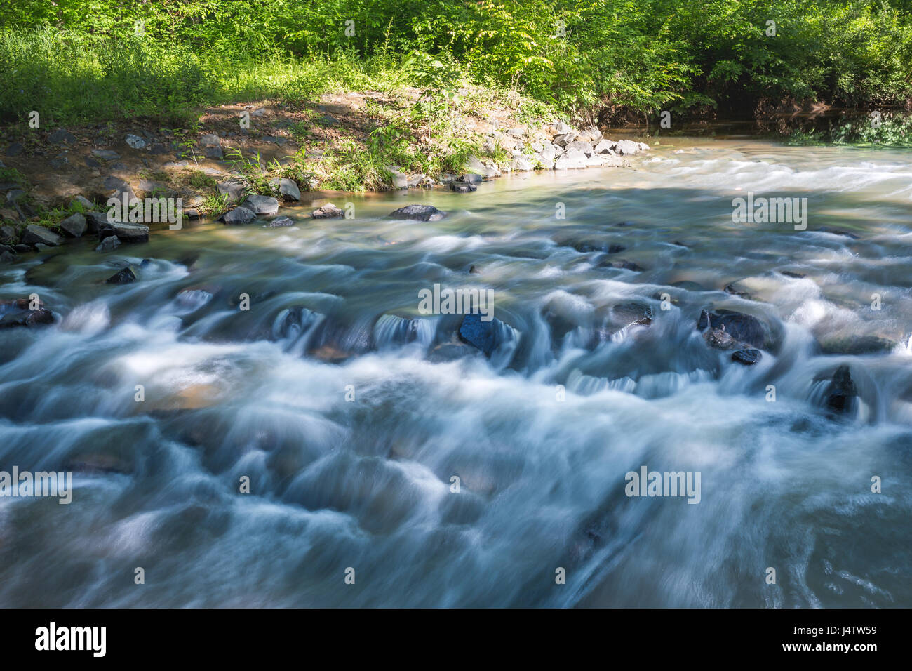 Ellanor c lawrence park hi-res stock photography and images - Alamy