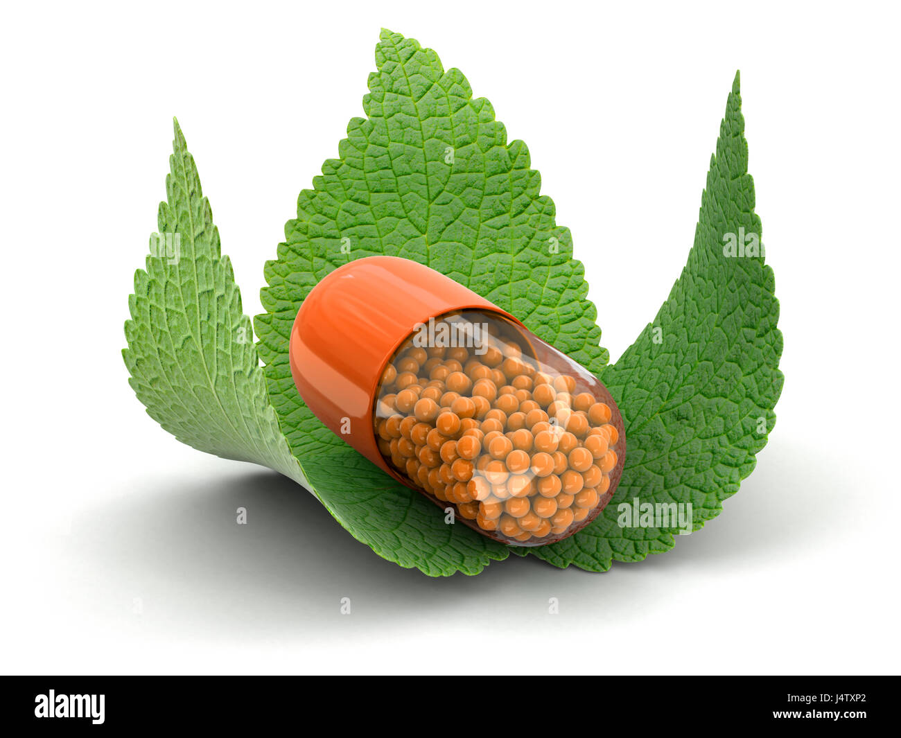 Capsule and leaves. Image with clipping path Stock Photo - Alamy