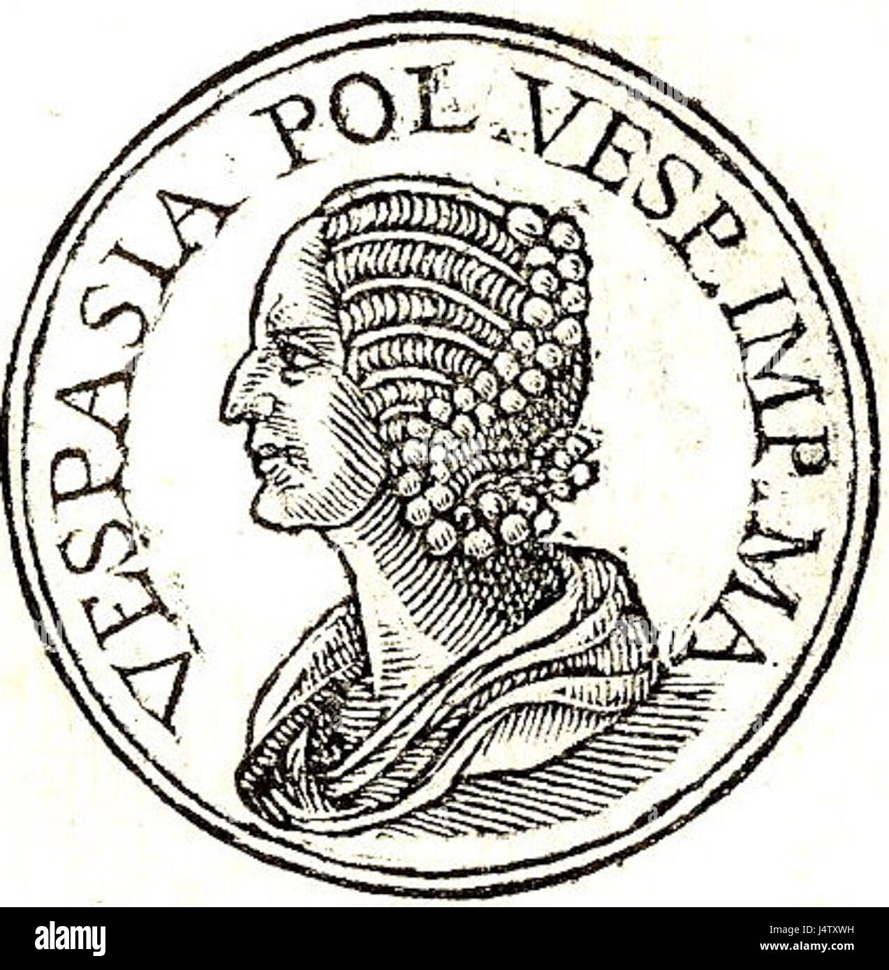 Vespasia polla hi-res stock photography and images - Alamy