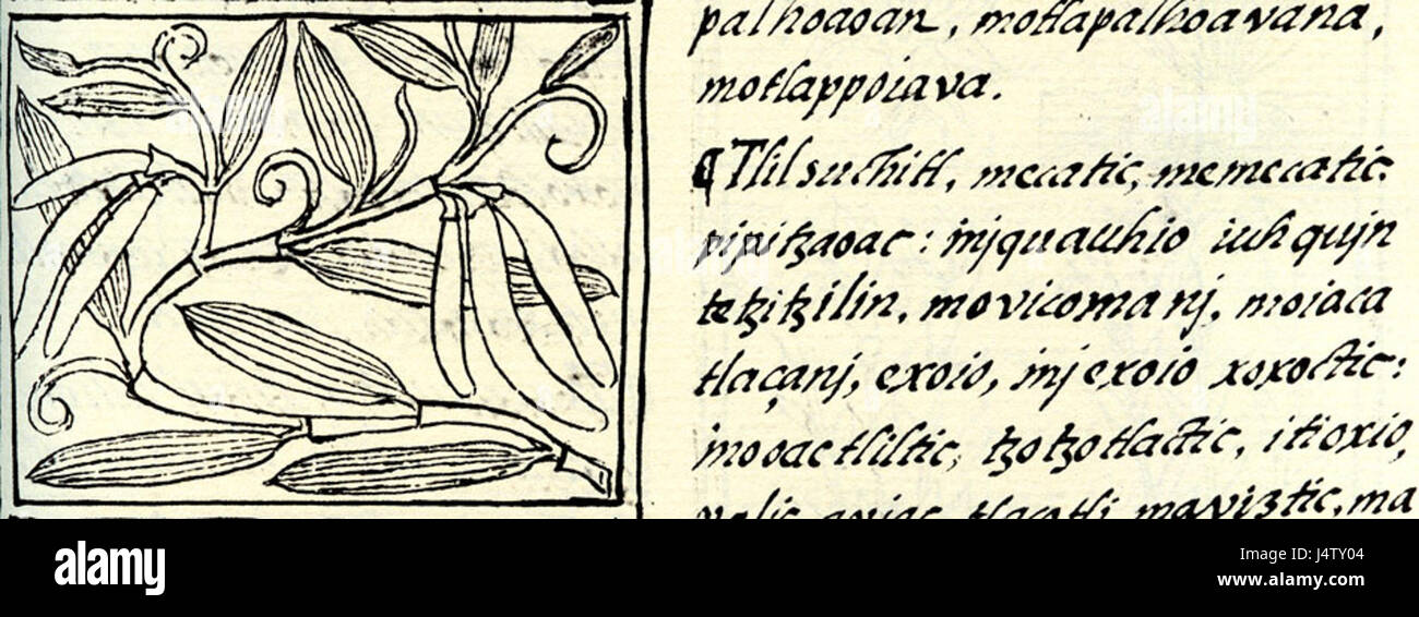 Florentine codex hi-res stock photography and images - Alamy