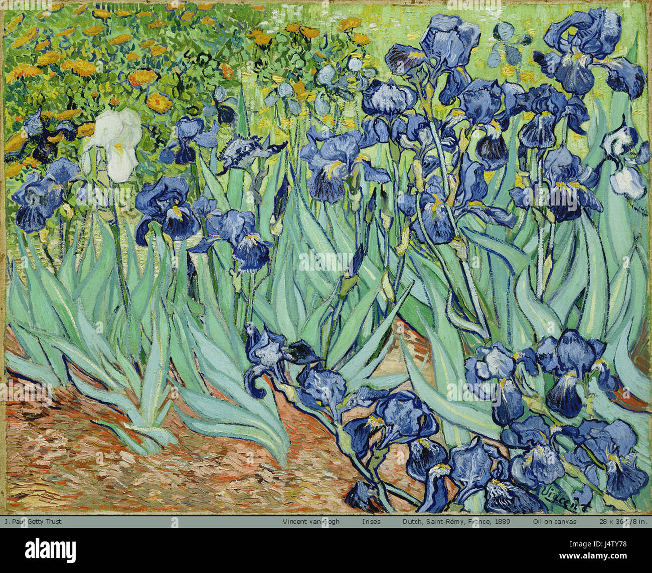 'Irises' by Vincent van Gogh is one of his most famous works, depicting ...