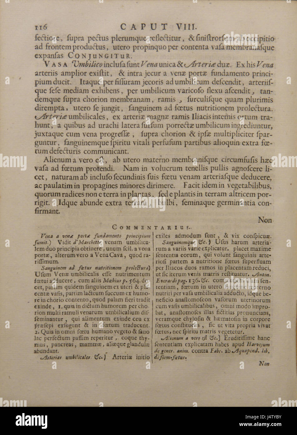 'Vesling Syntagma Anatomicum' is a medical text focused on anatomy ...