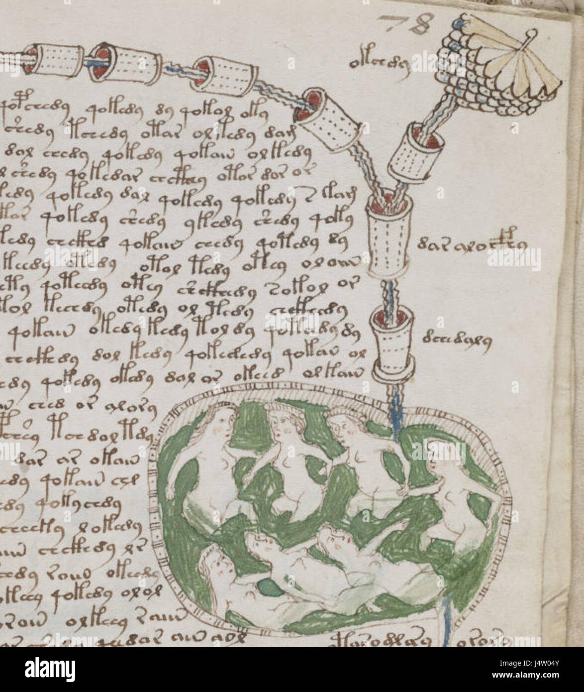 The Voynich manuscript is a mysterious 15th-century book, full of ...