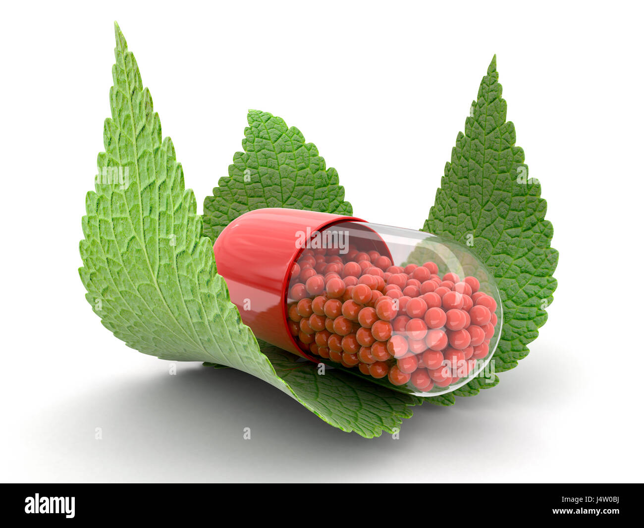 Capsule and leaves. Image with clipping path Stock Photo - Alamy