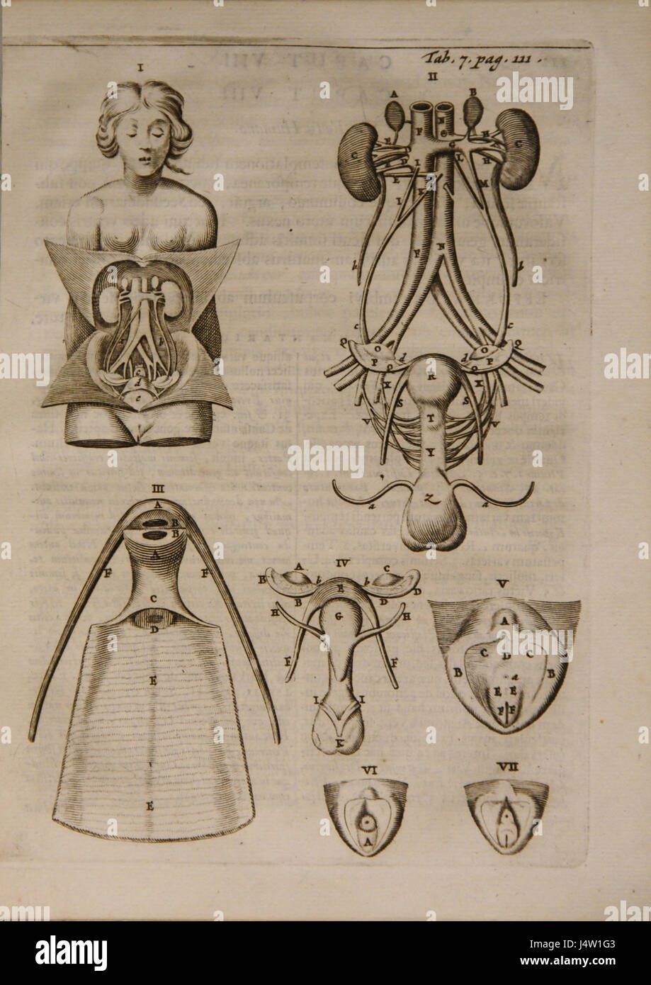 Vesling's *Syntagma Anatomicum* is a comprehensive work on human ...