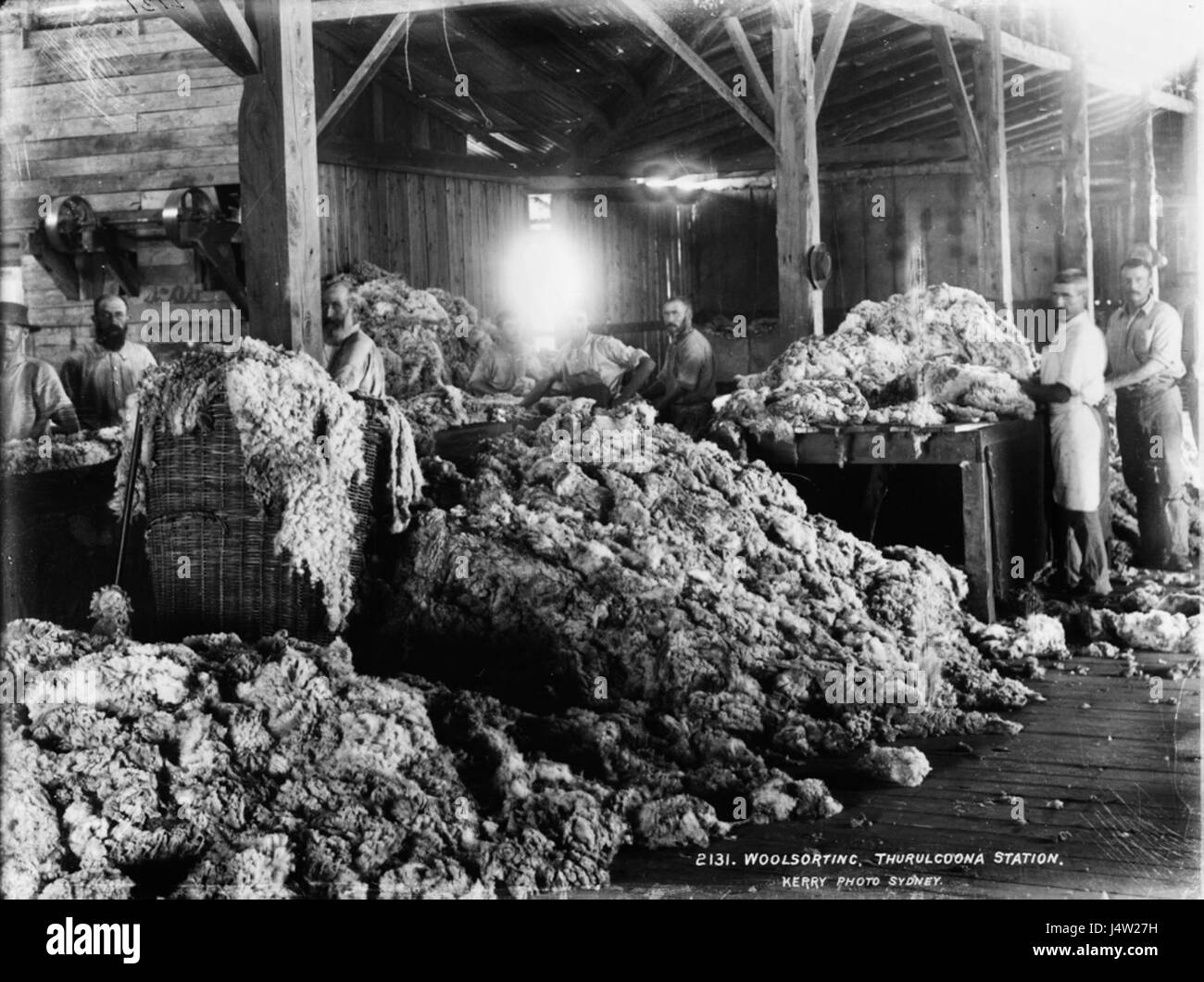This image shows workers sorting wool at Thurulcoona Station, an ...