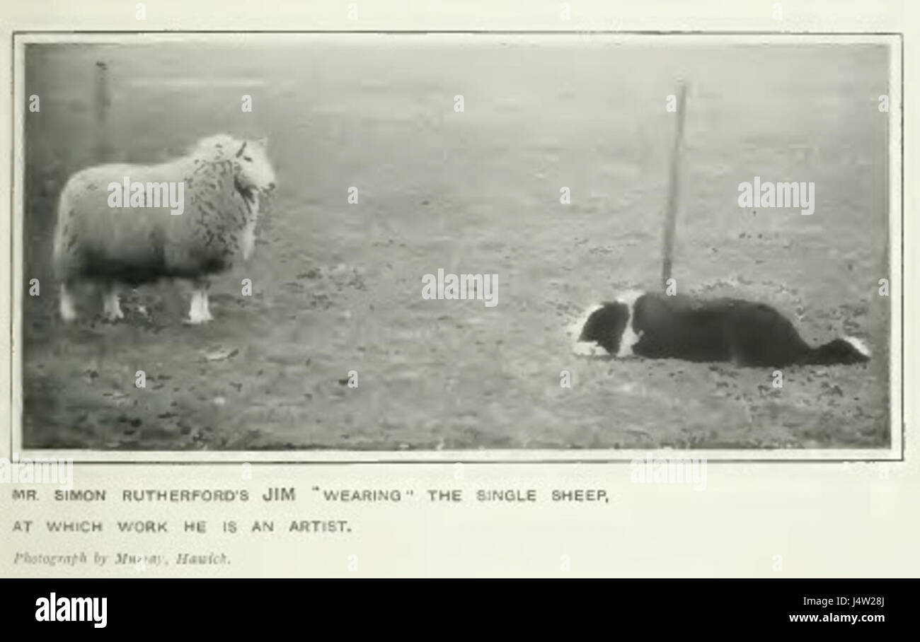 Map of collie hi-res stock photography and images - Alamy